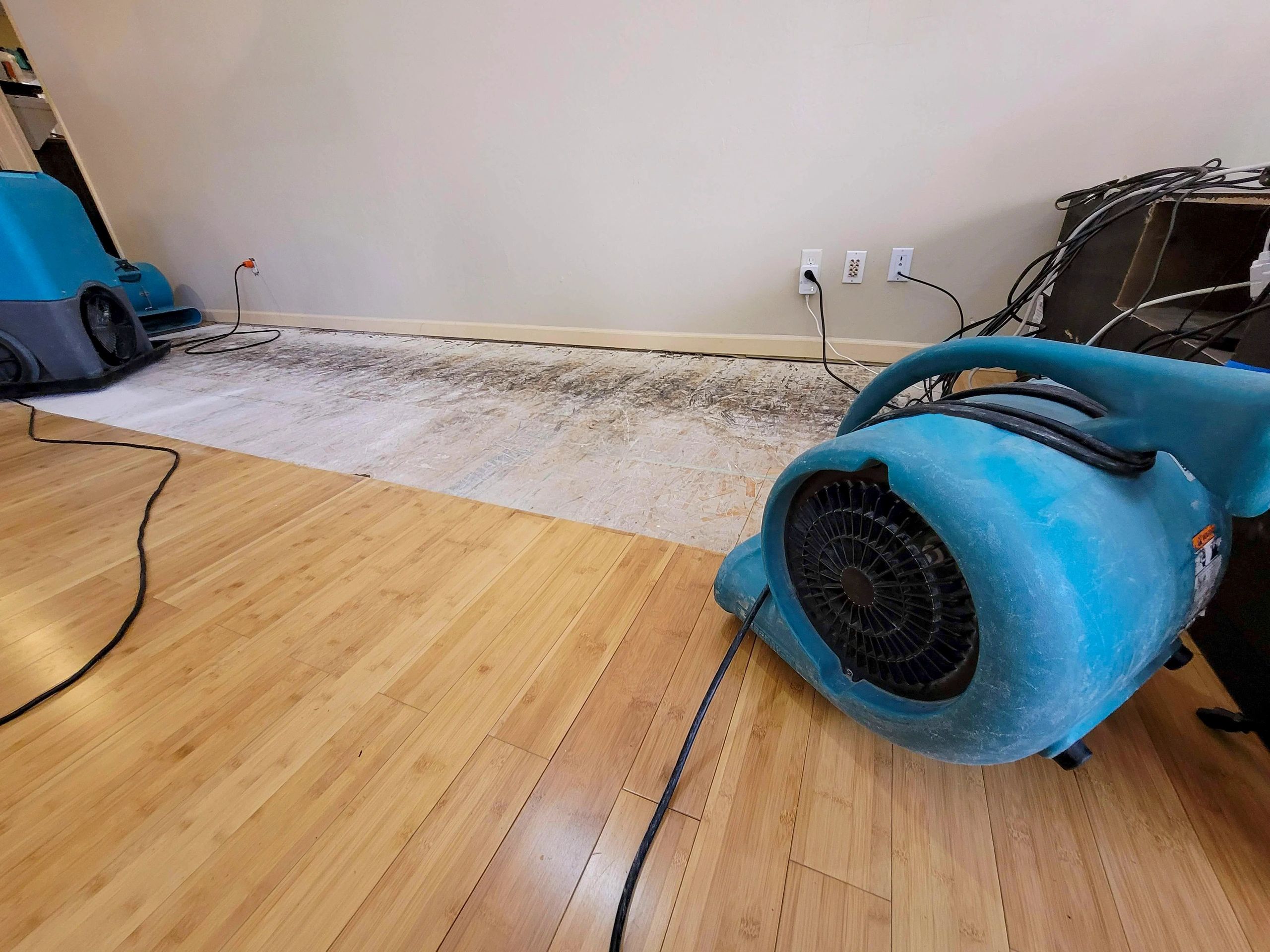Expert Water Damage Restoration Services Available