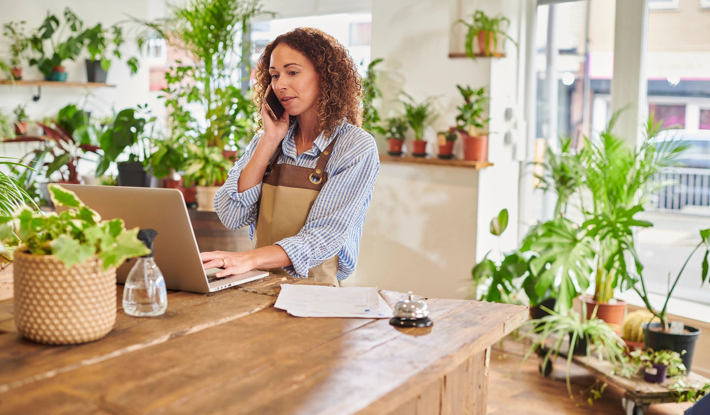 Fig Tree Accounting