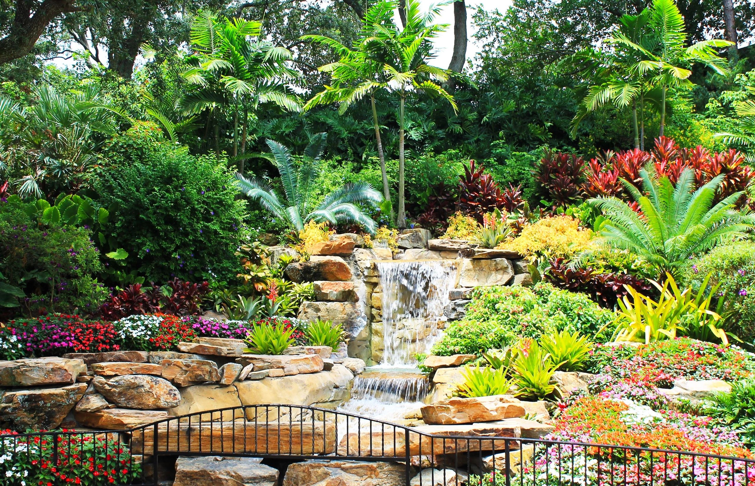 Dreamscape Design: Transform Your Landscape Today