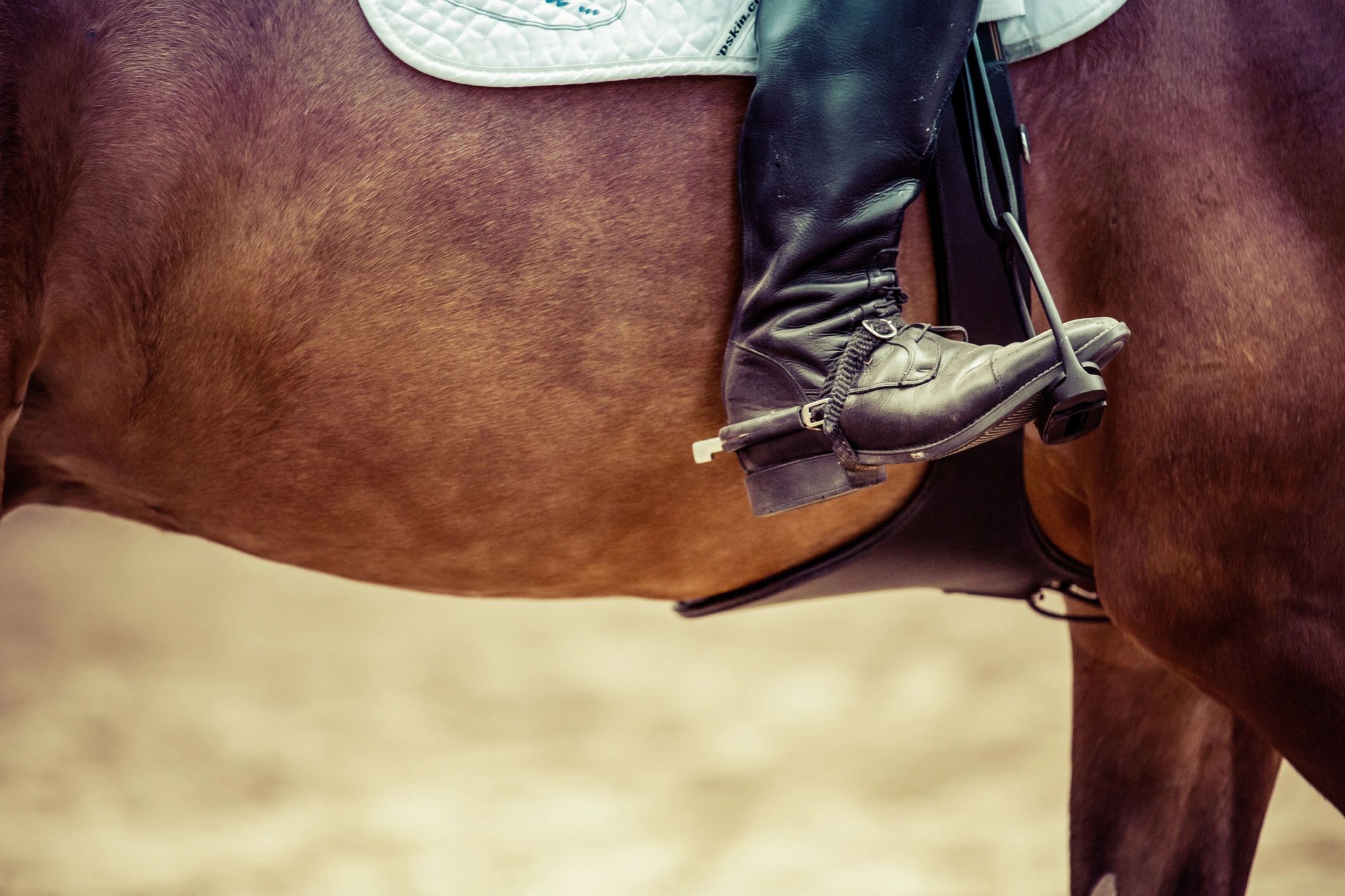 Equitax Solutions