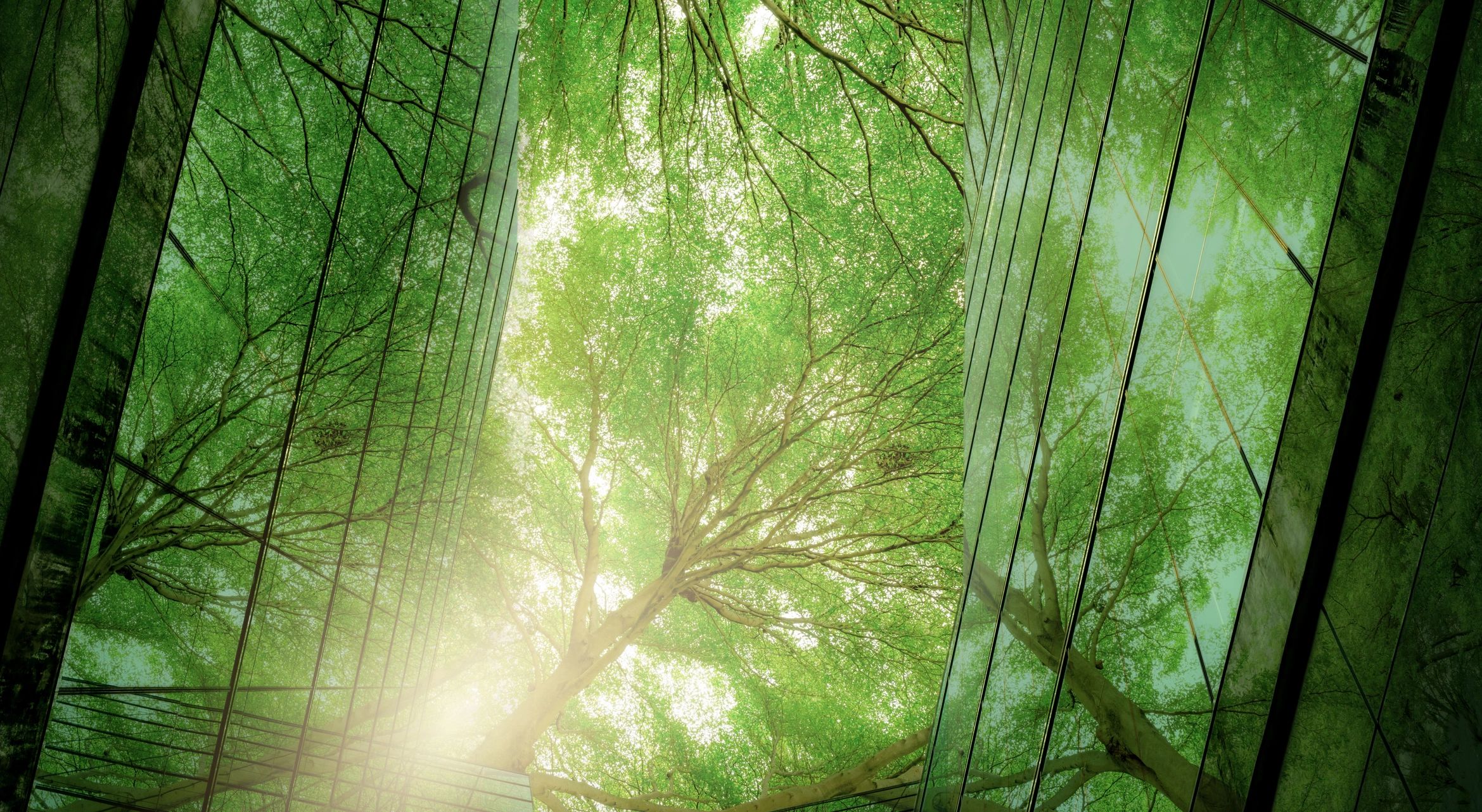 Green Horizon Partners