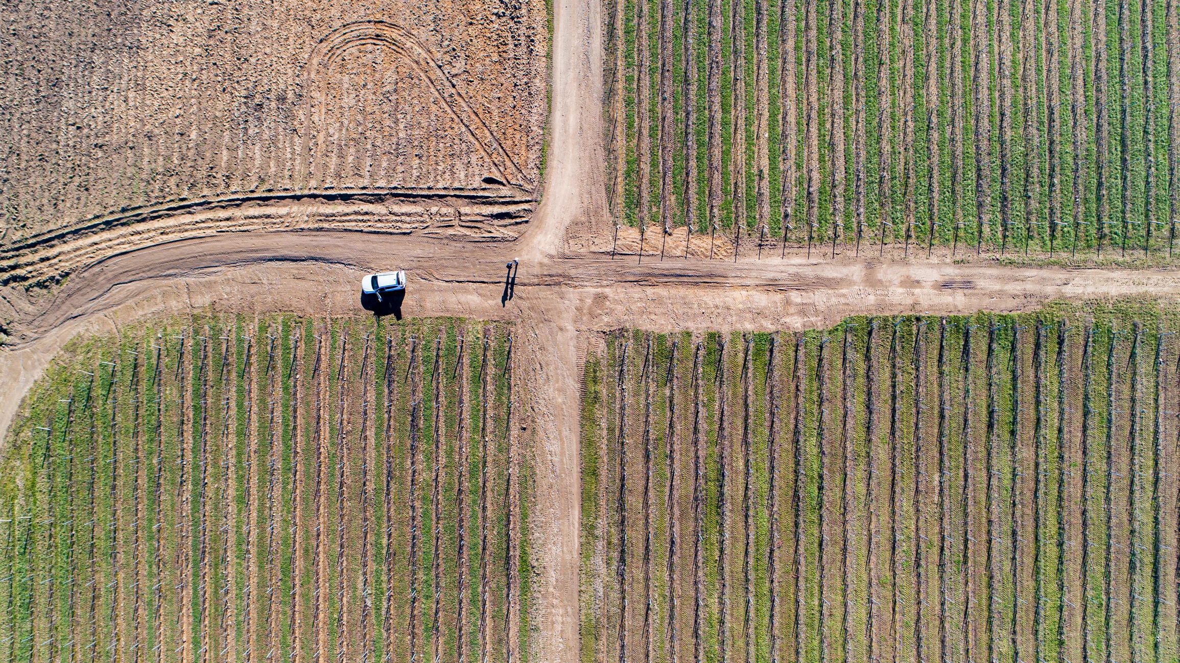 Proactive Management for Farming with TerraSat Analytics