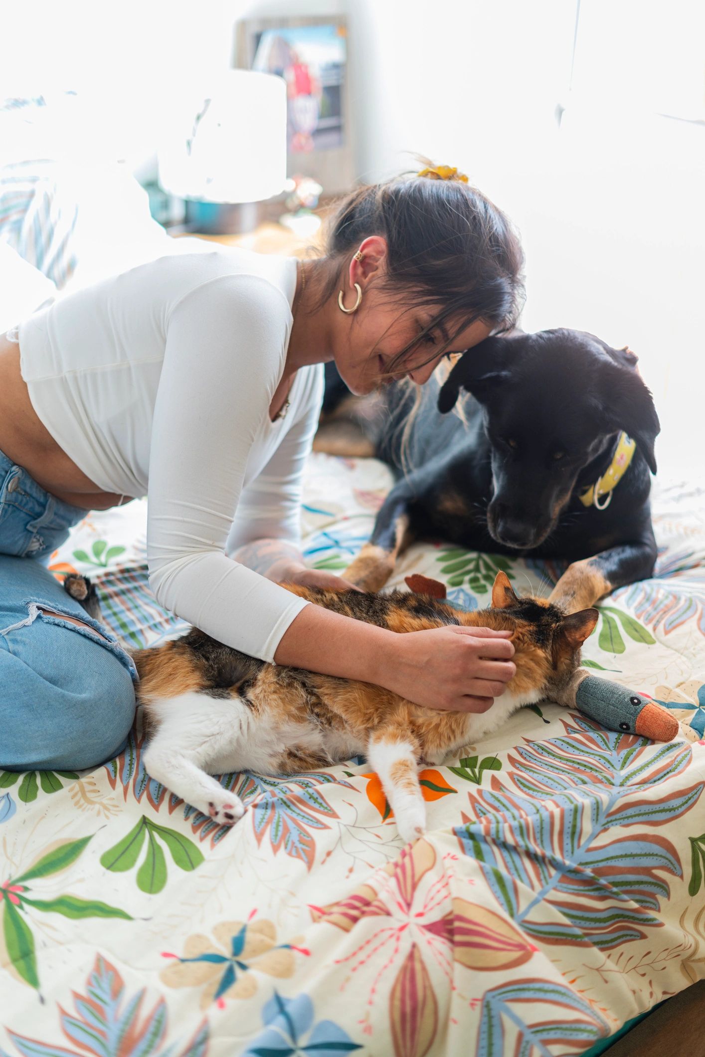 Sidekicks Pets