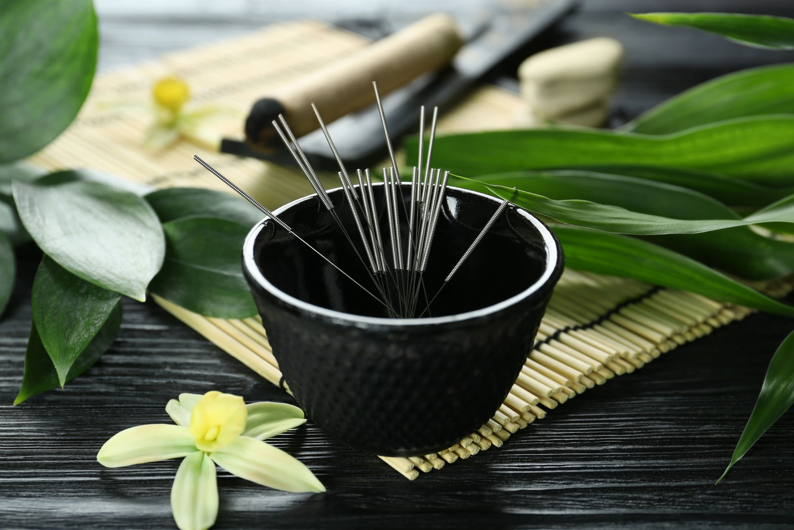 Nadia Gazzi TCM - Acupuncture, Acupuncture Places Near Me, Chinese ...