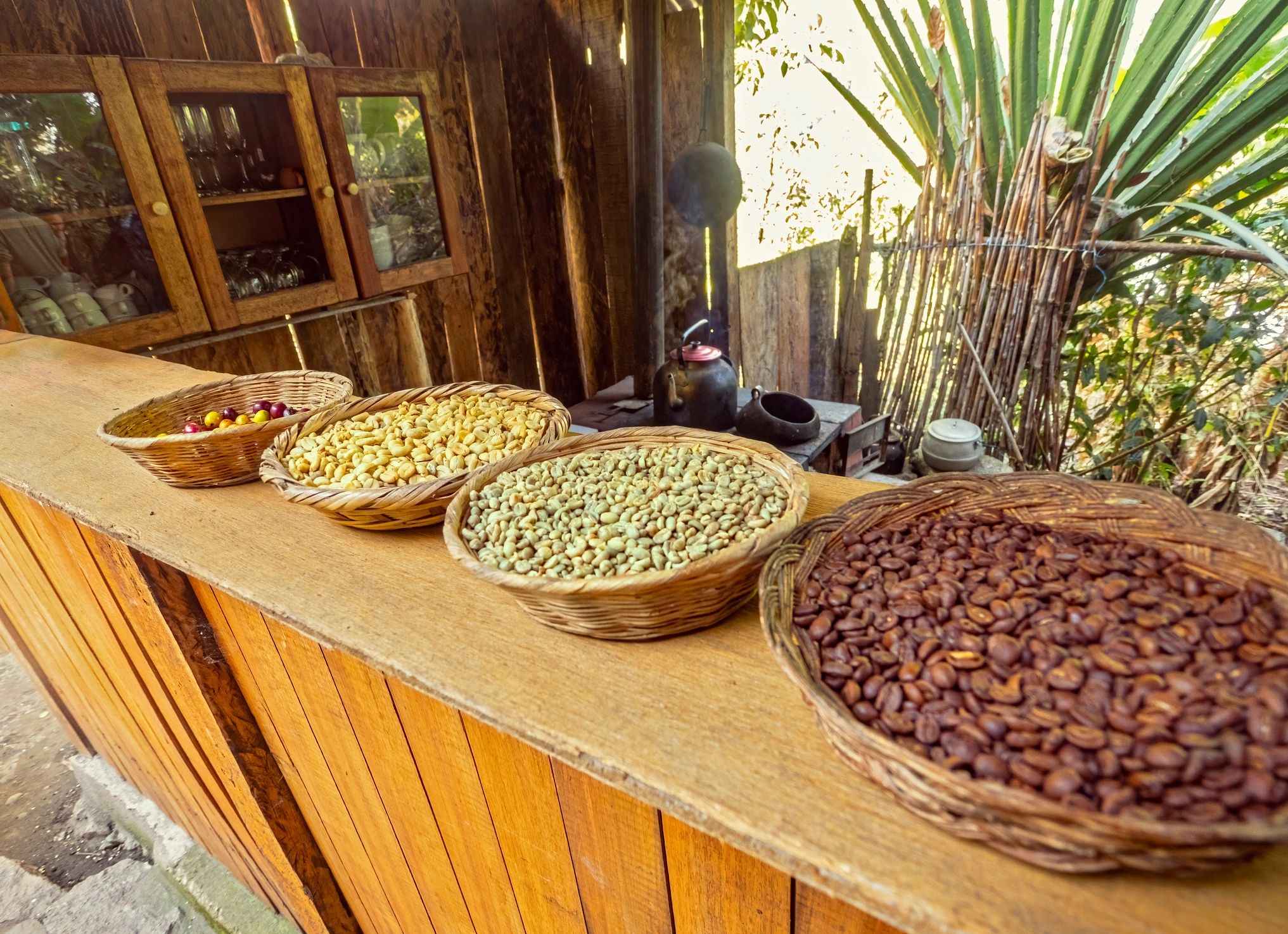 AMBAR café especial, tostado en origen!!! compra +51 901717183