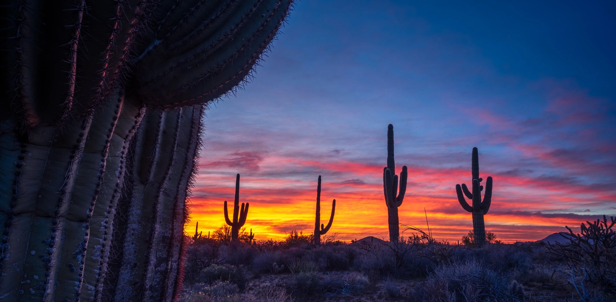 Tucson Rental Experts