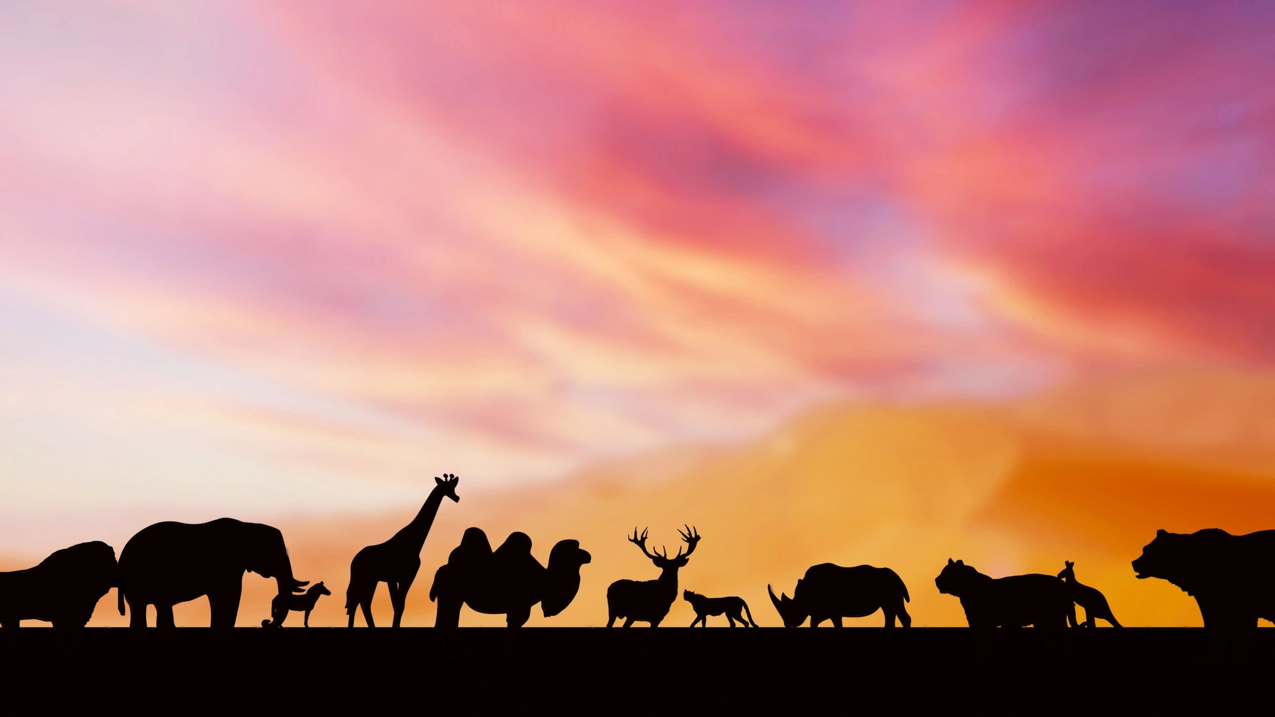Tafari Animal Folktales