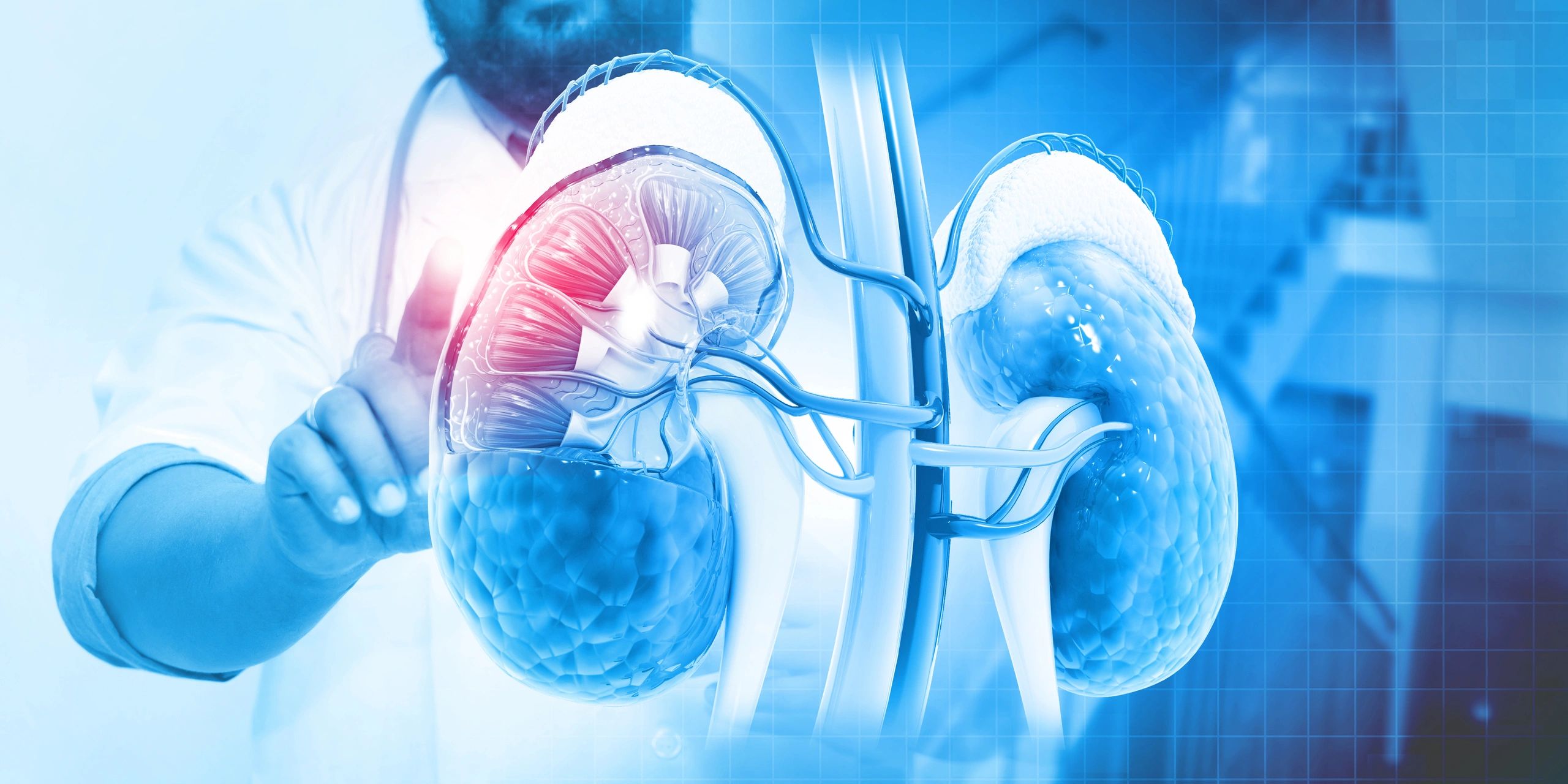 Home [kidneycareassociates.com]