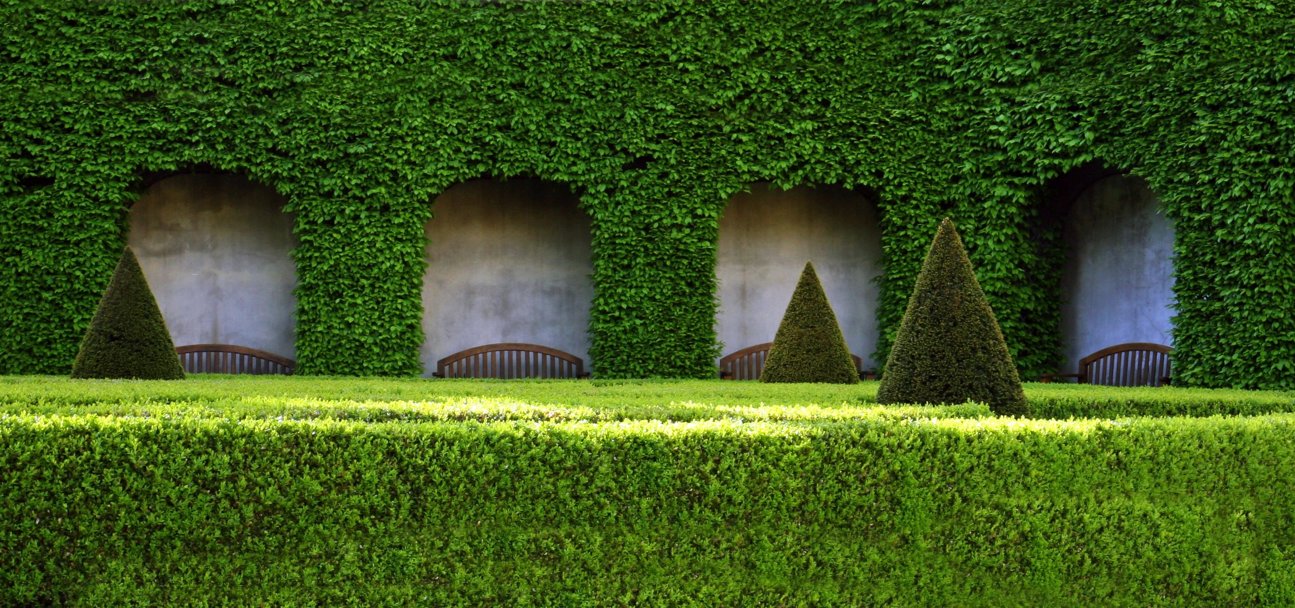 Luxury Hedge and Garden Services in Melbourne
