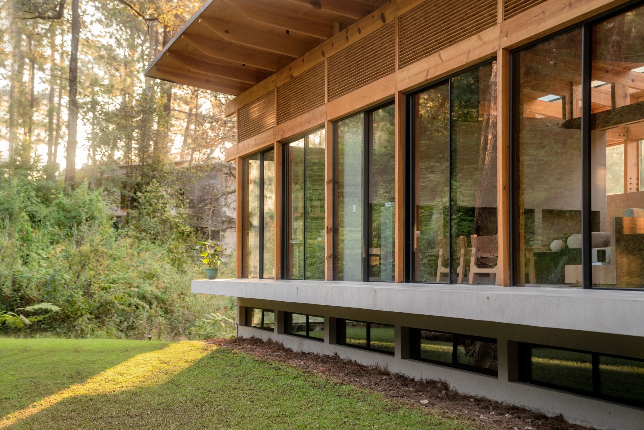 Window Plex