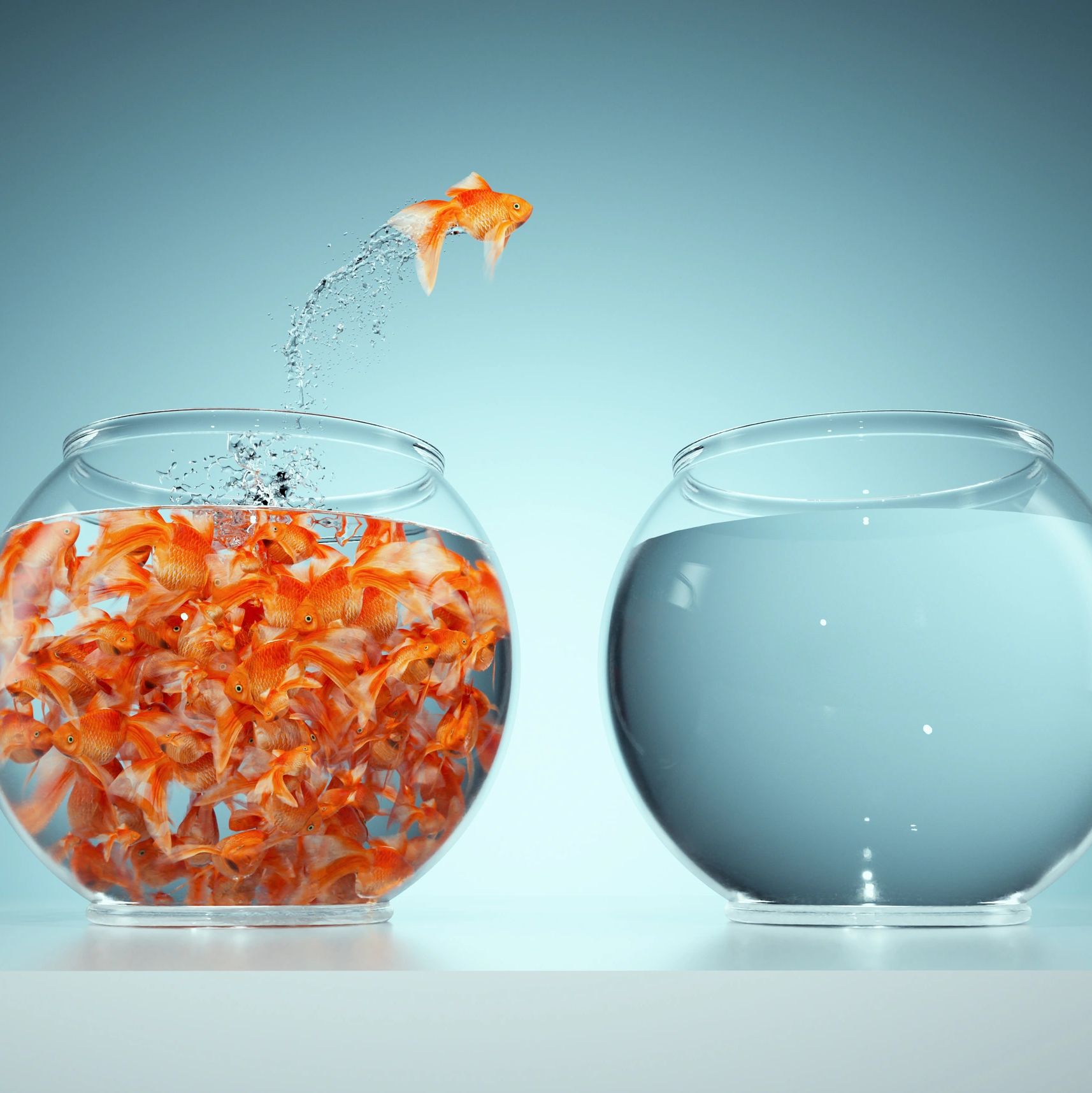 Work Simplr - Data Collection Case Study, Online Research Case Study ...