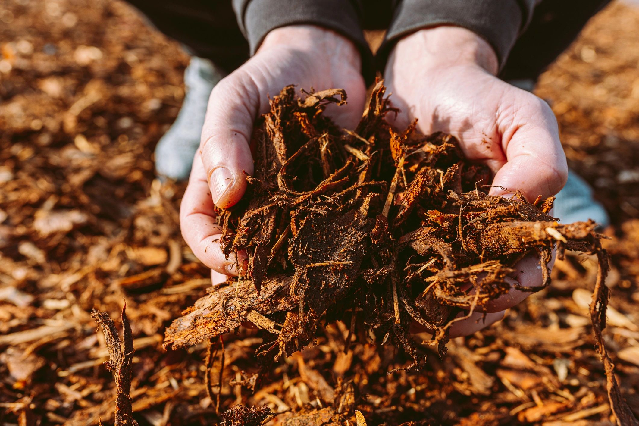 Professional Mulch Installation Services in the United States