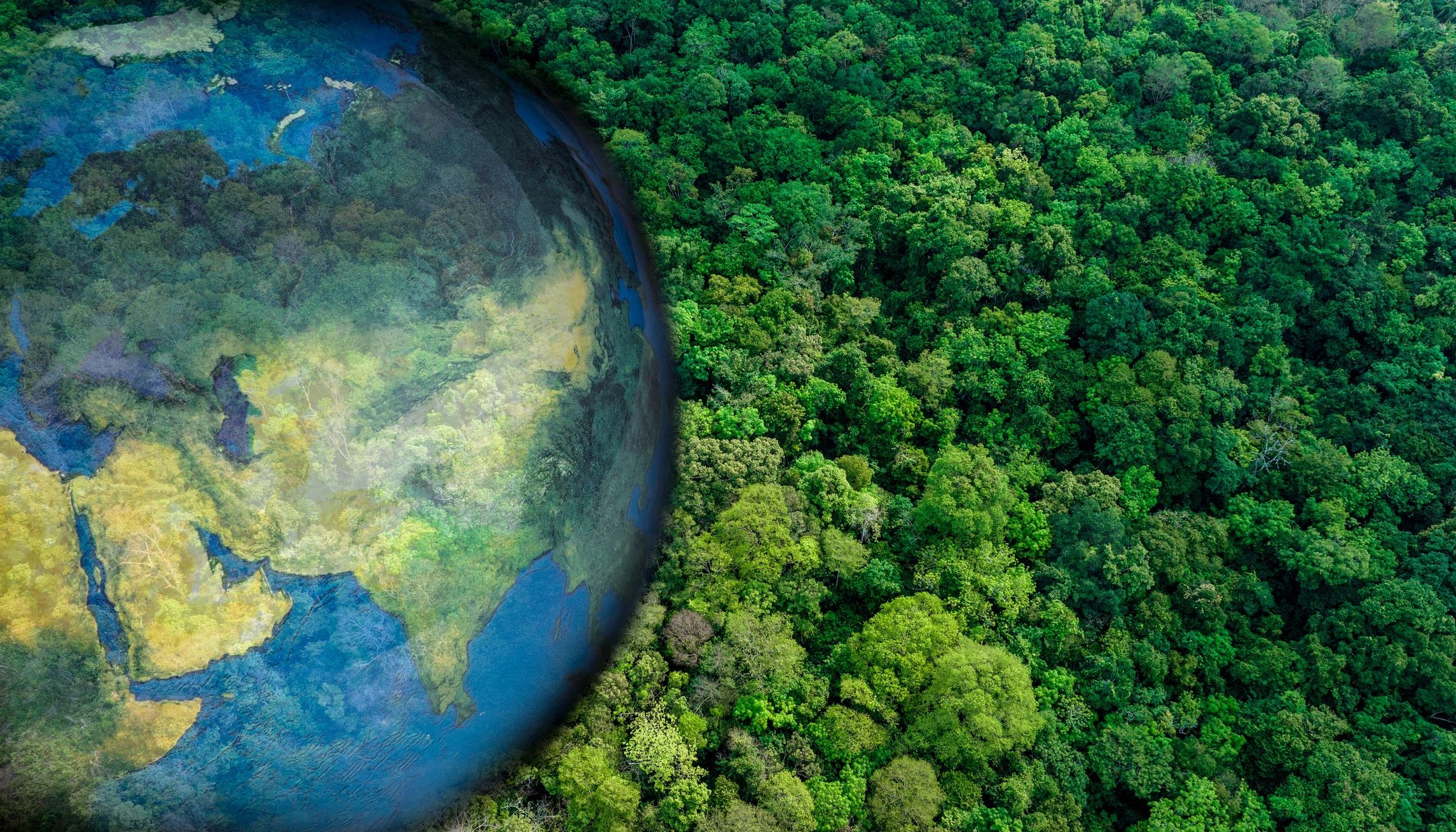 Founder's Corner | XL Ventures