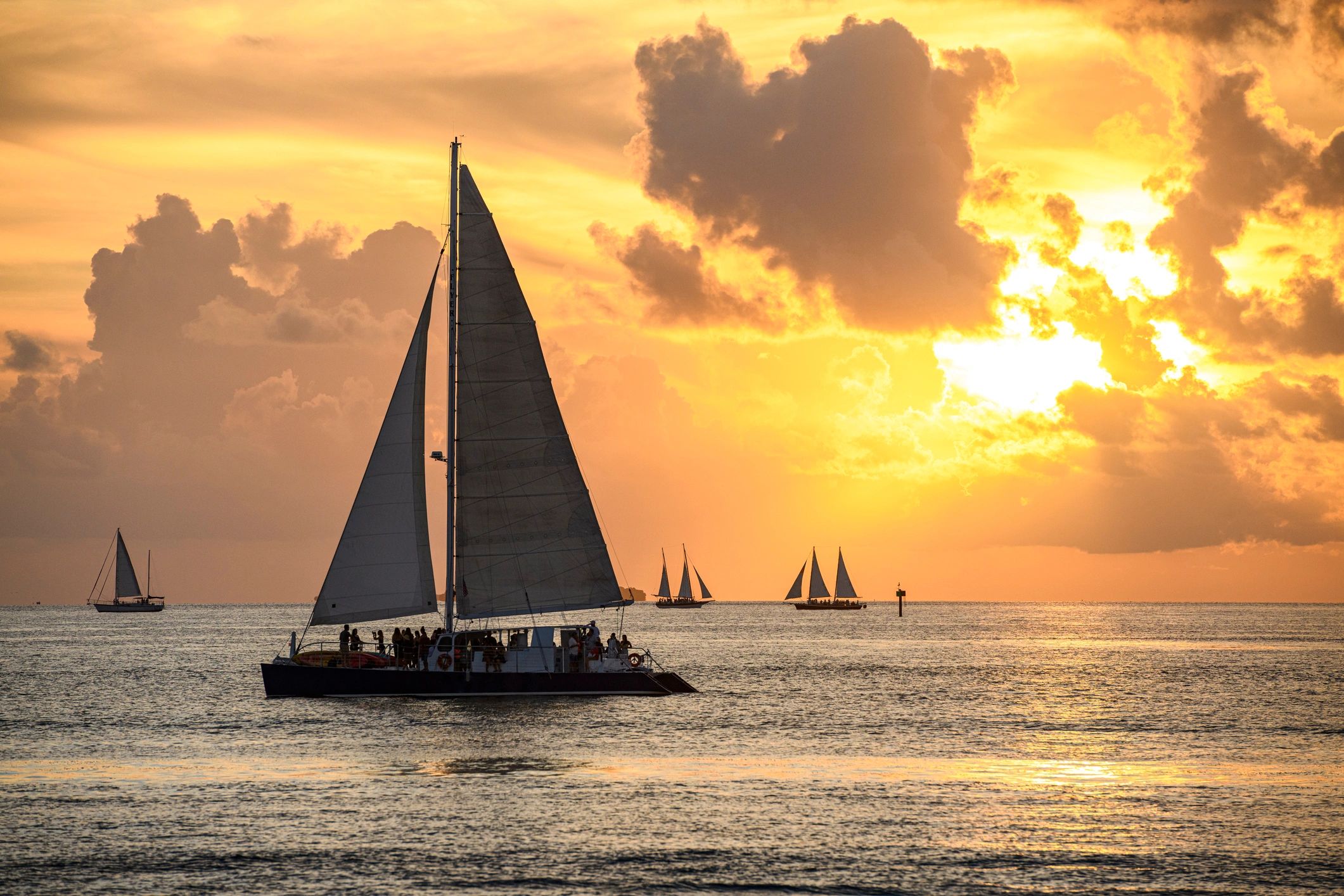 Key West Boat Charters - Explore the Waters Today