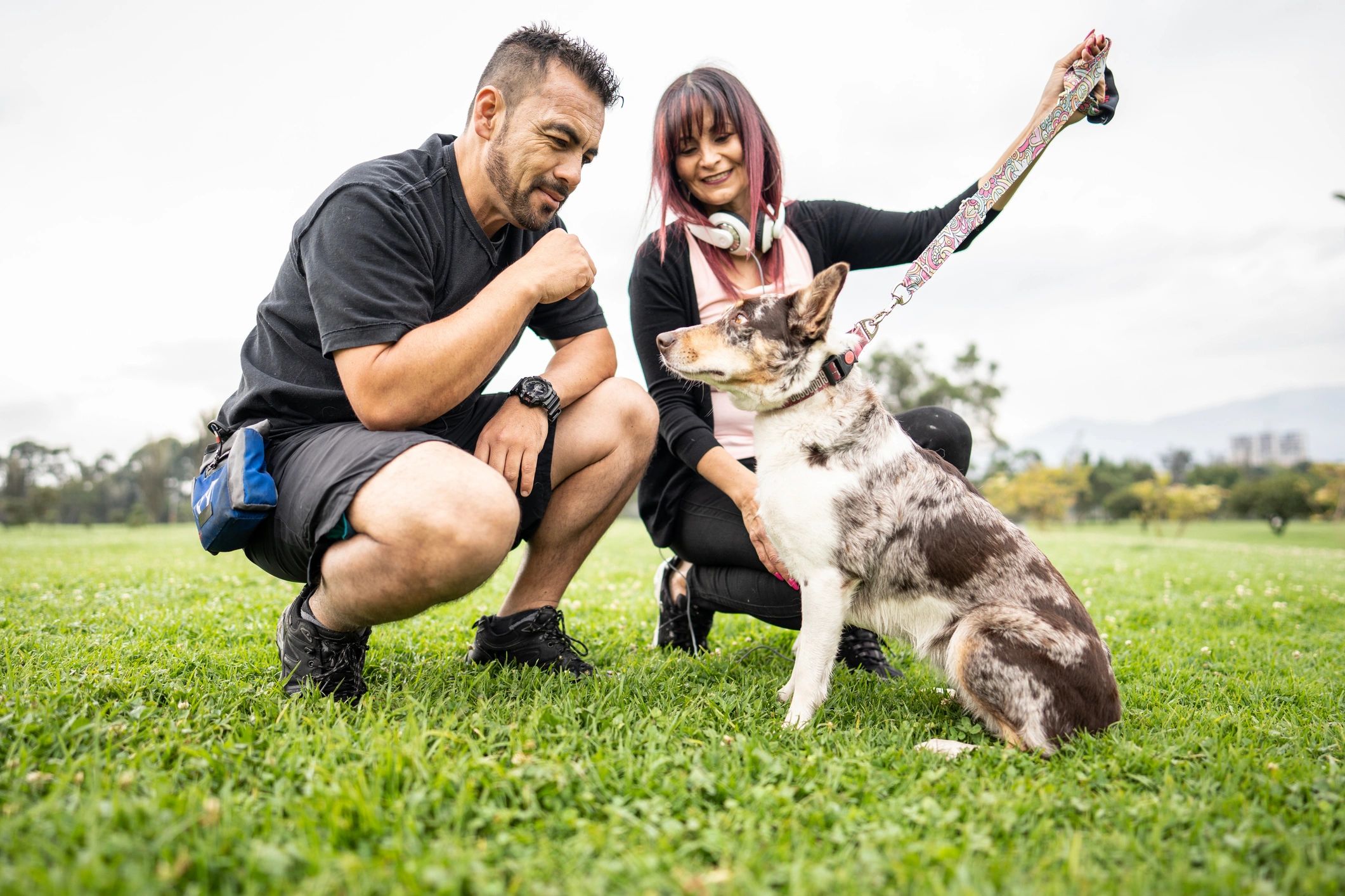 Essential Tips for Training Your Dog Effectively