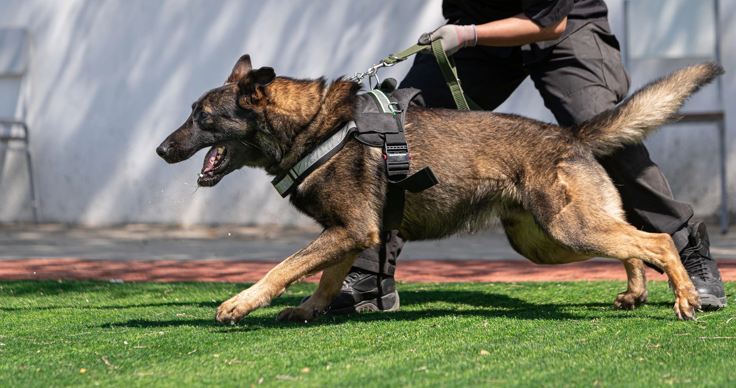 Cerberus Development Operations group