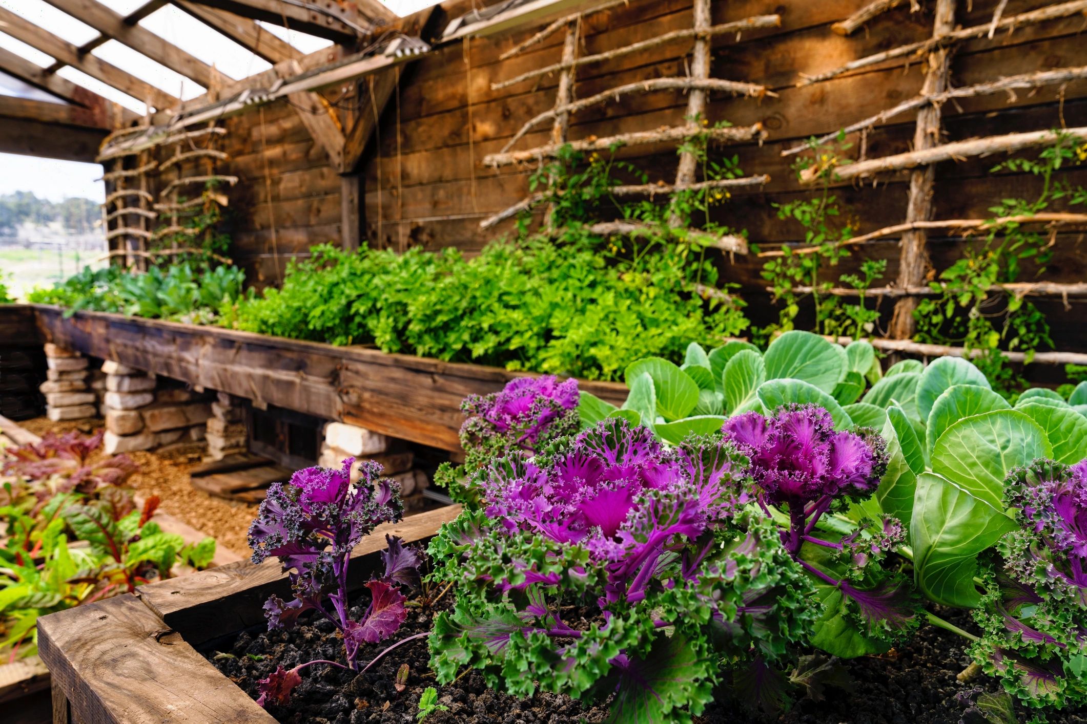 The Healing Farm Project