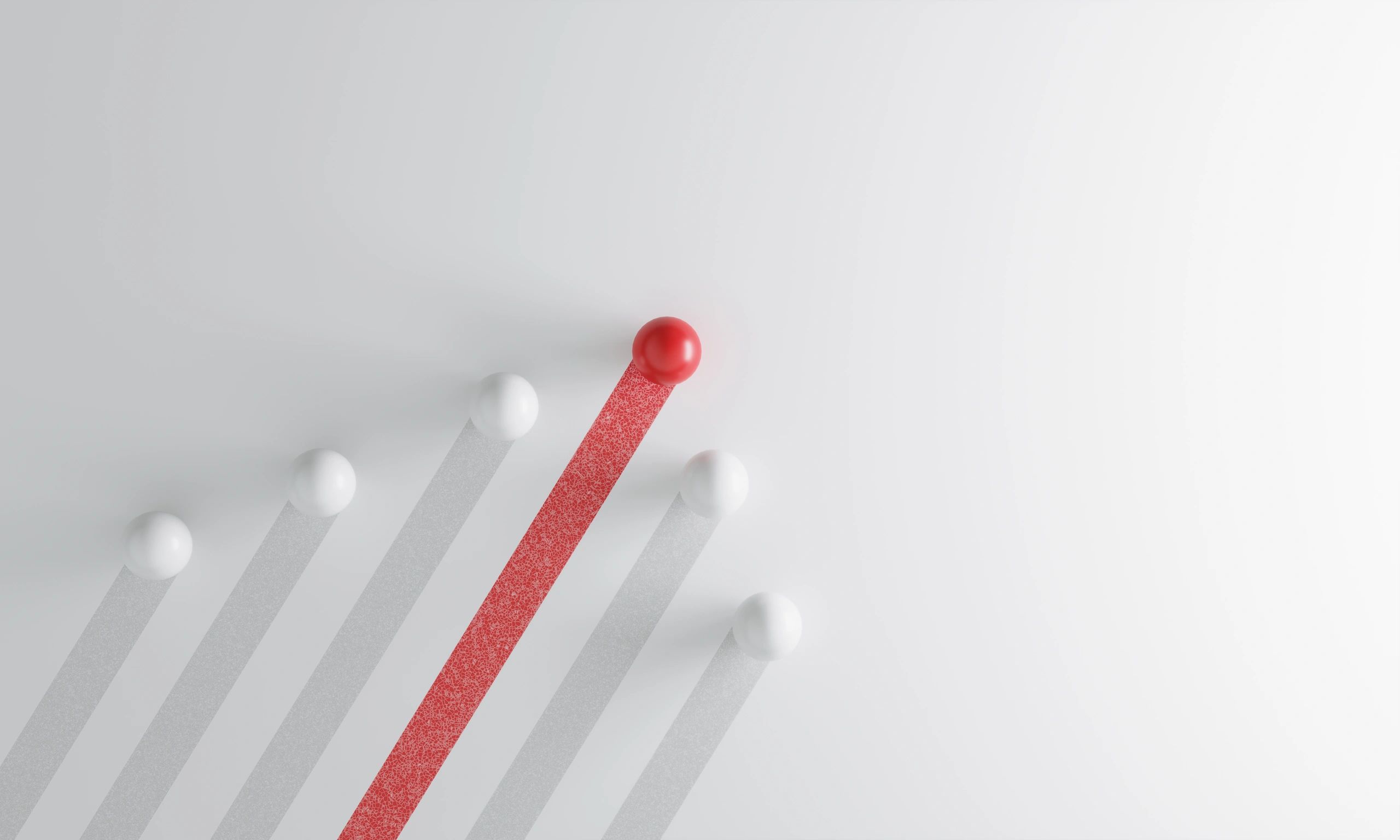 MyDynamic: Transform Your Business with Dynamic Management