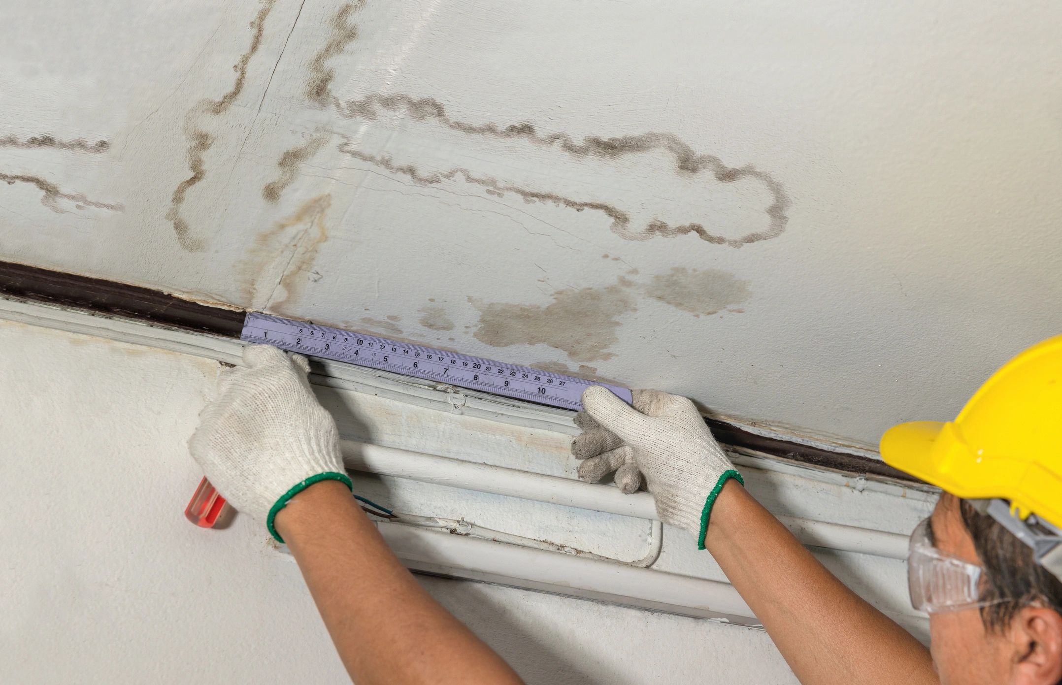 Expert Home Mold Inspections in South Florida