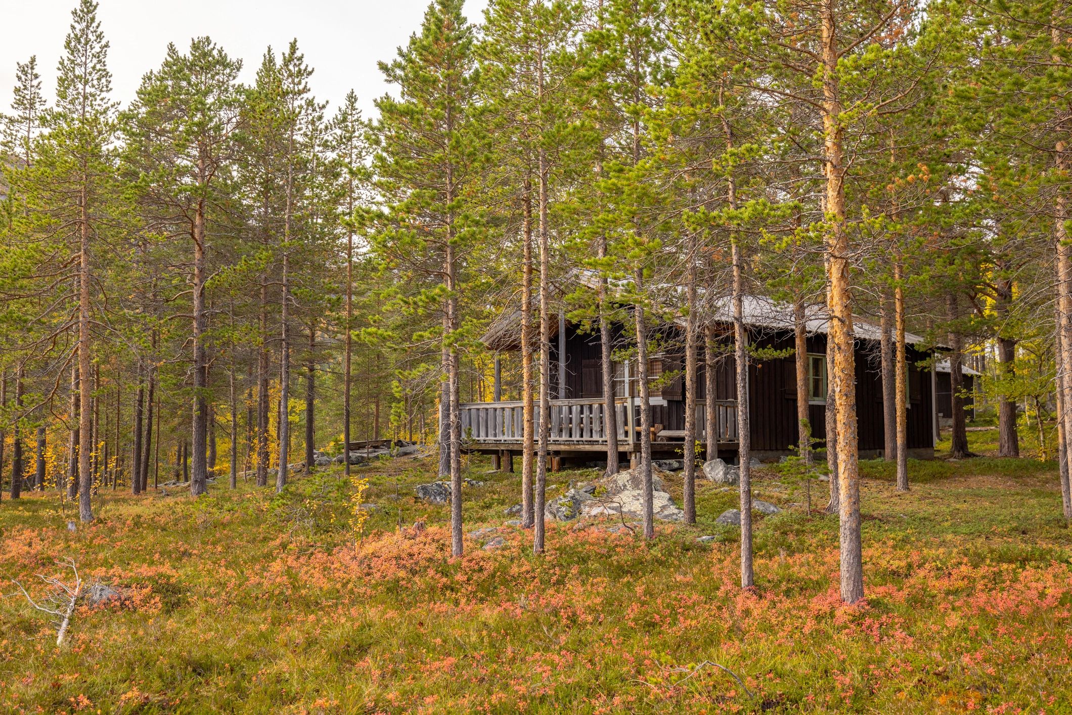 Thelema Lodge