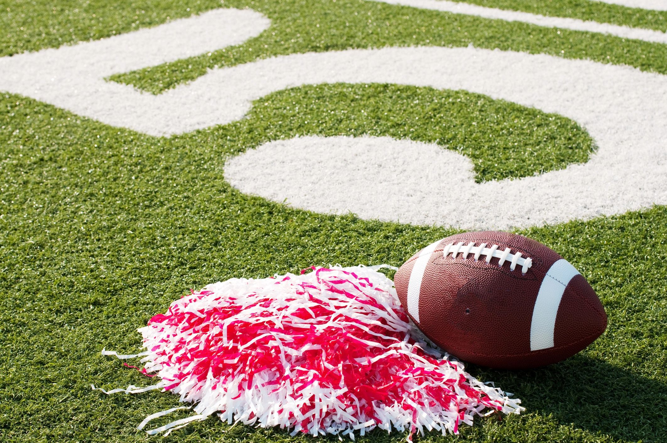 Executive Board Members