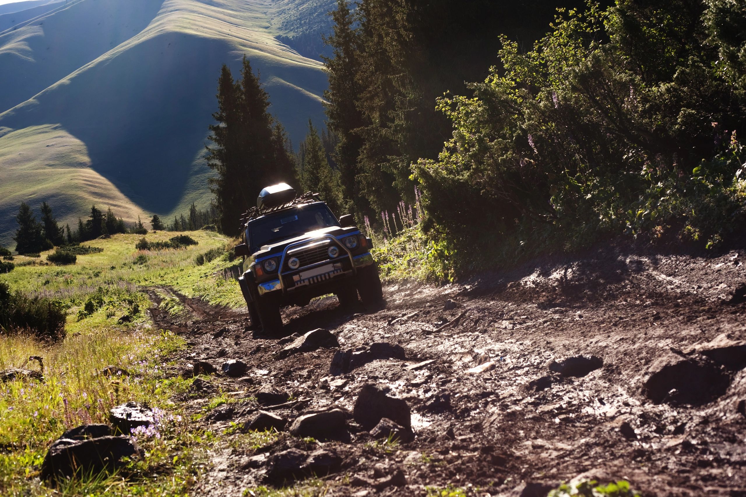 Extreme 4WD