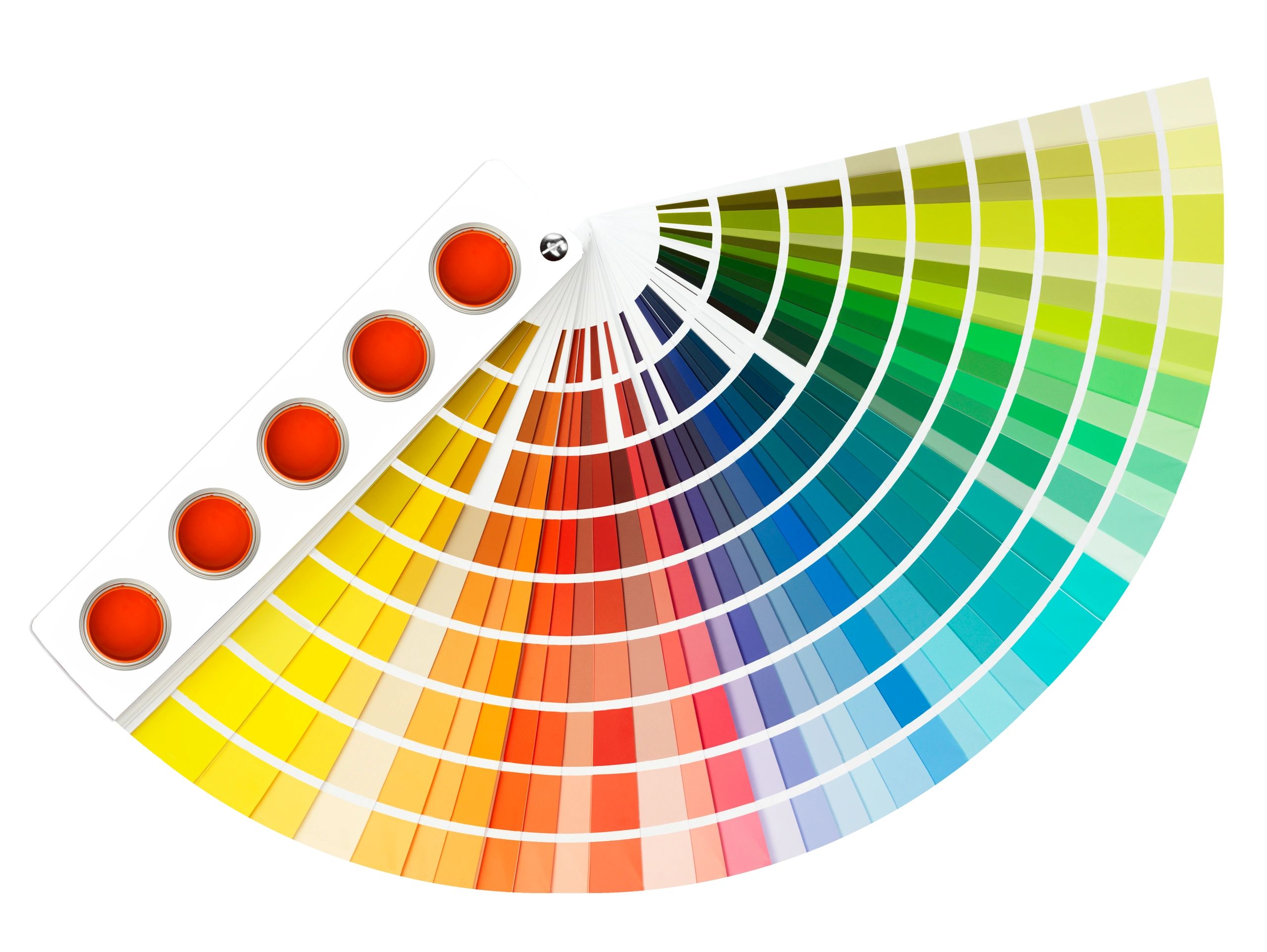 Monk Skin Color Card