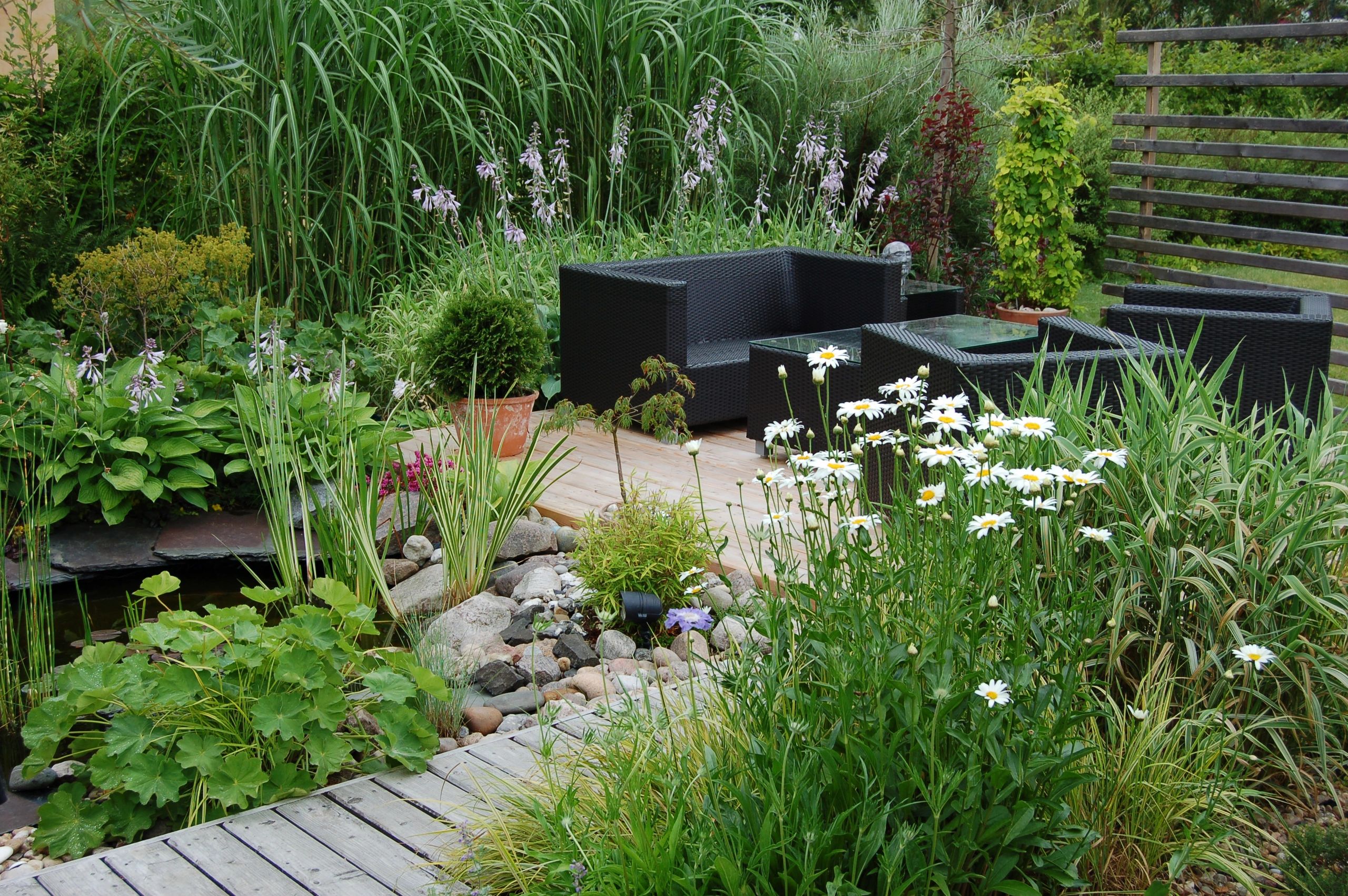 Healing Garden Design - Transforming Healing Spaces