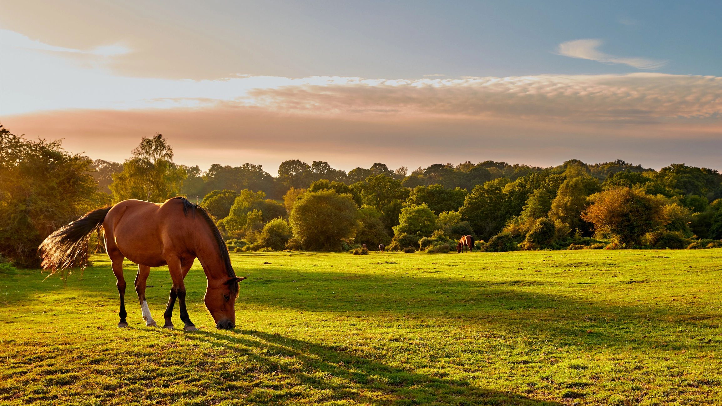 Legacies Barn & Arena LLC