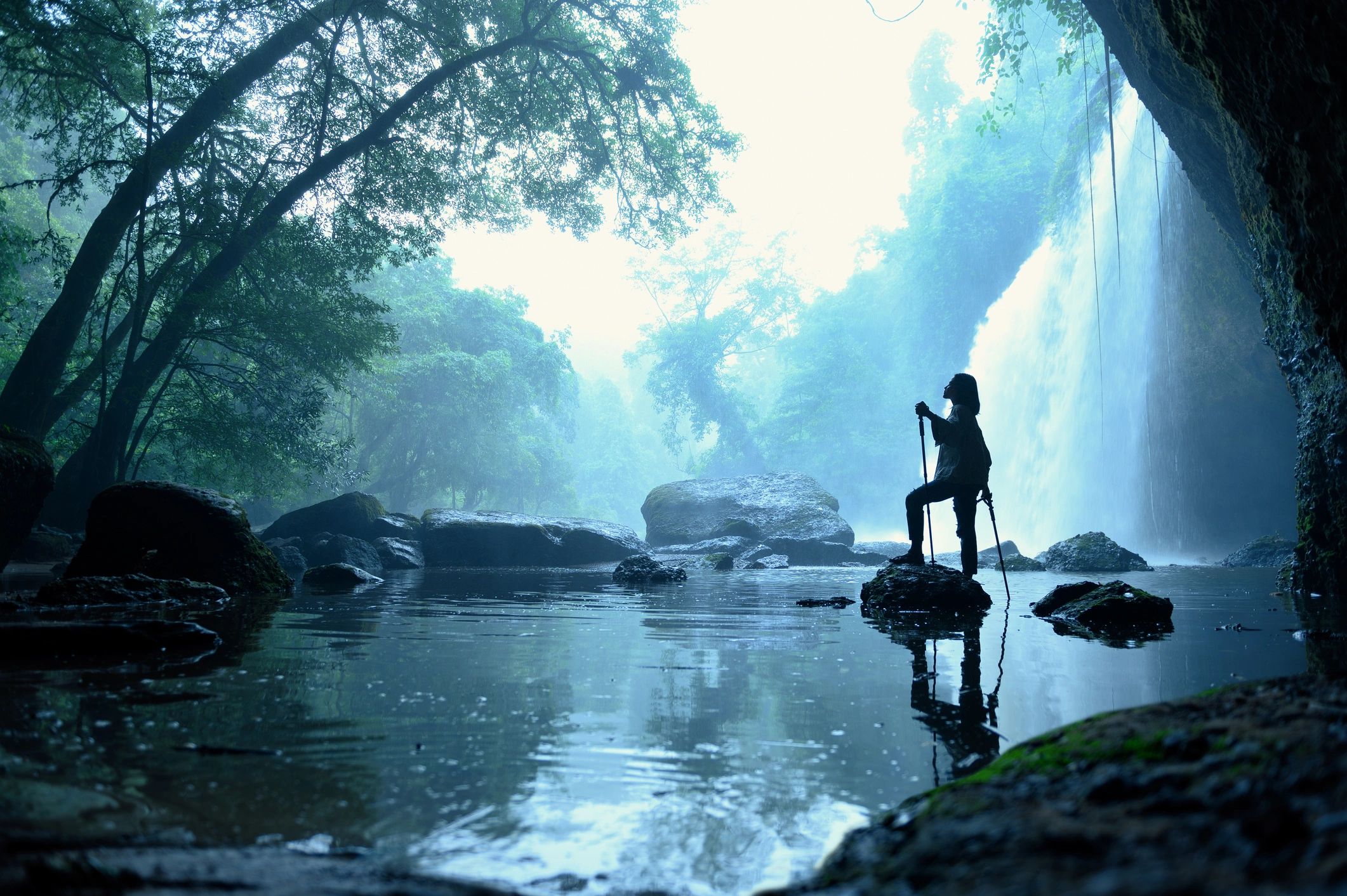 Harris In Focus Photography