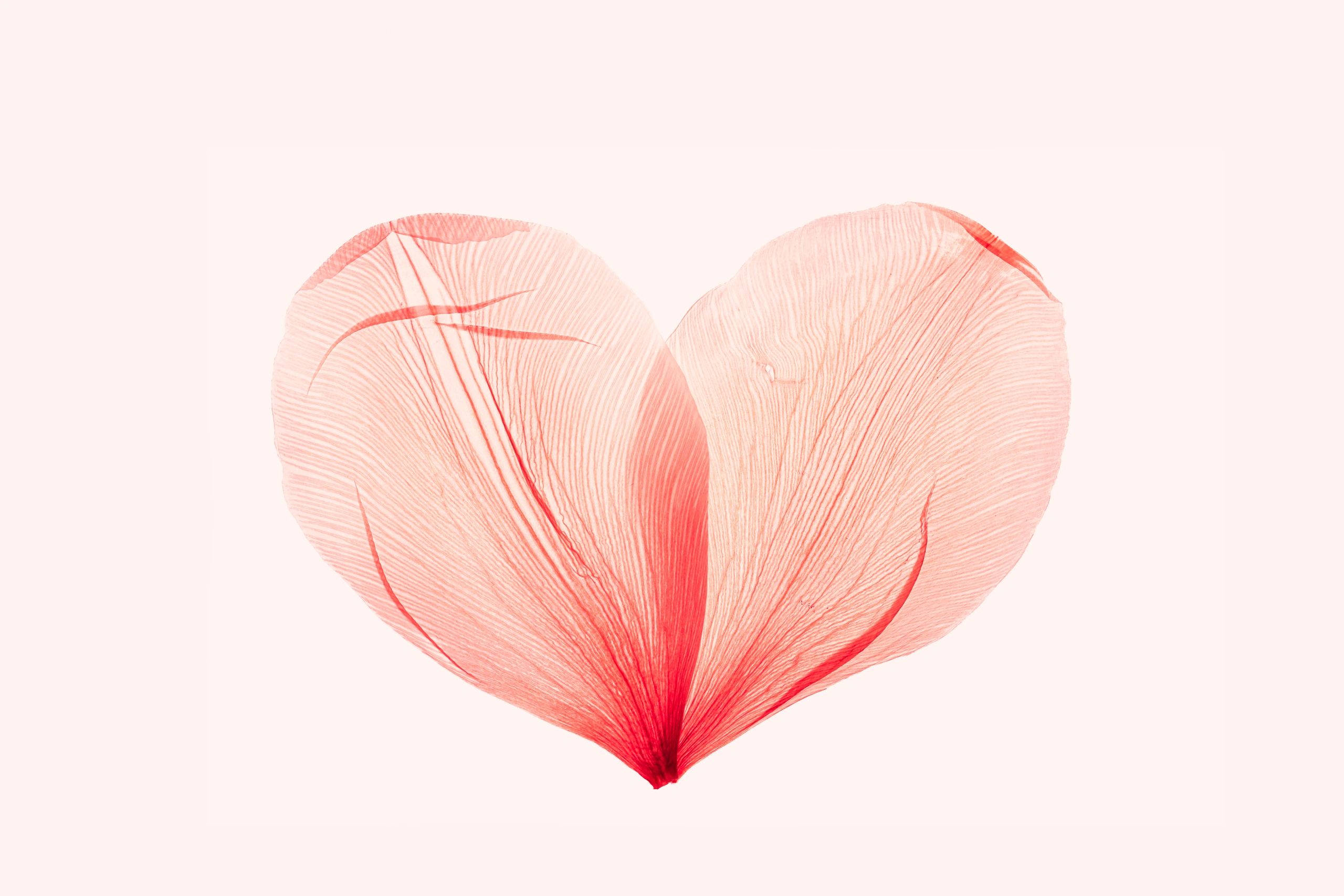 Expert Psychiatric Help Online - Blooming Psychiatry