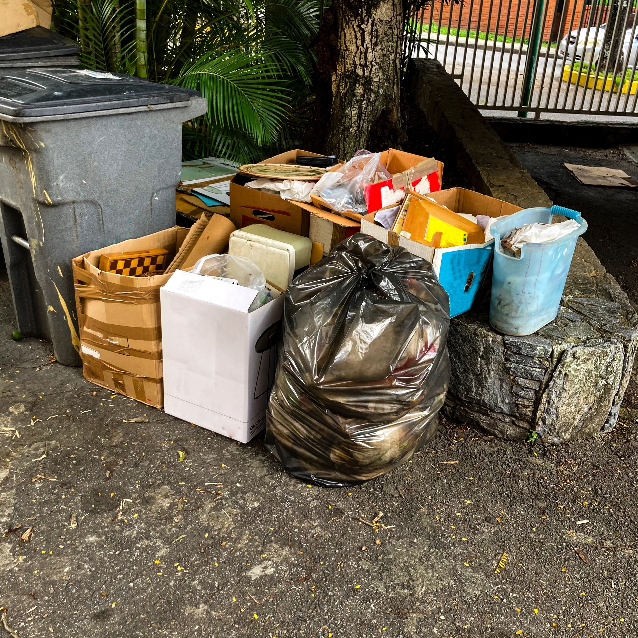 PSGFCS: Expert Foreclosure, Cleanup & Junkout Services