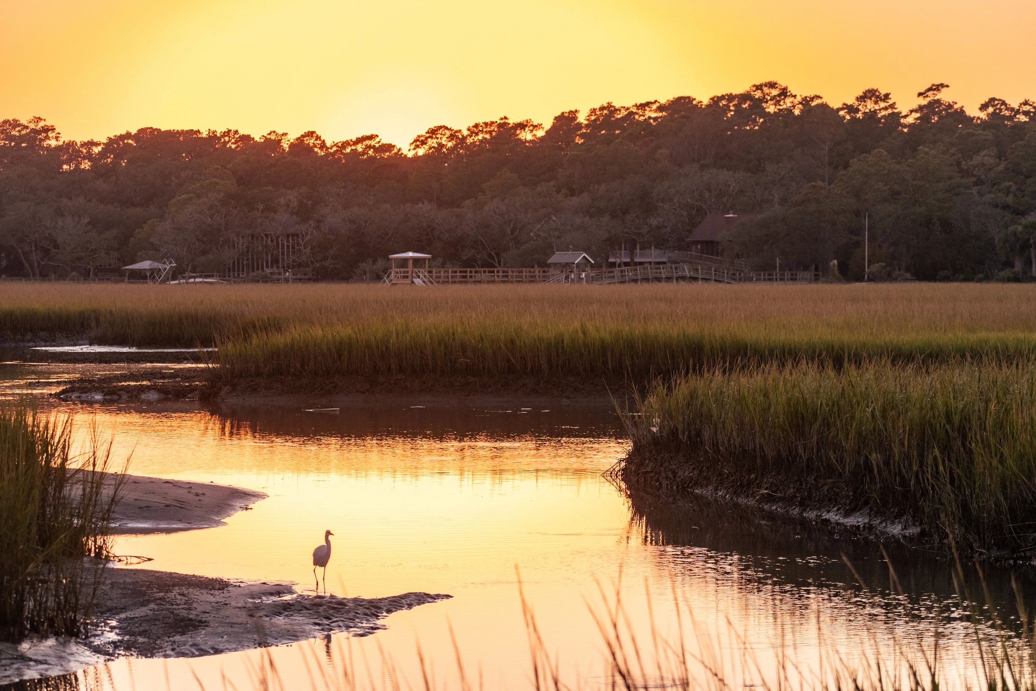 Dana Anthony Custom Homes