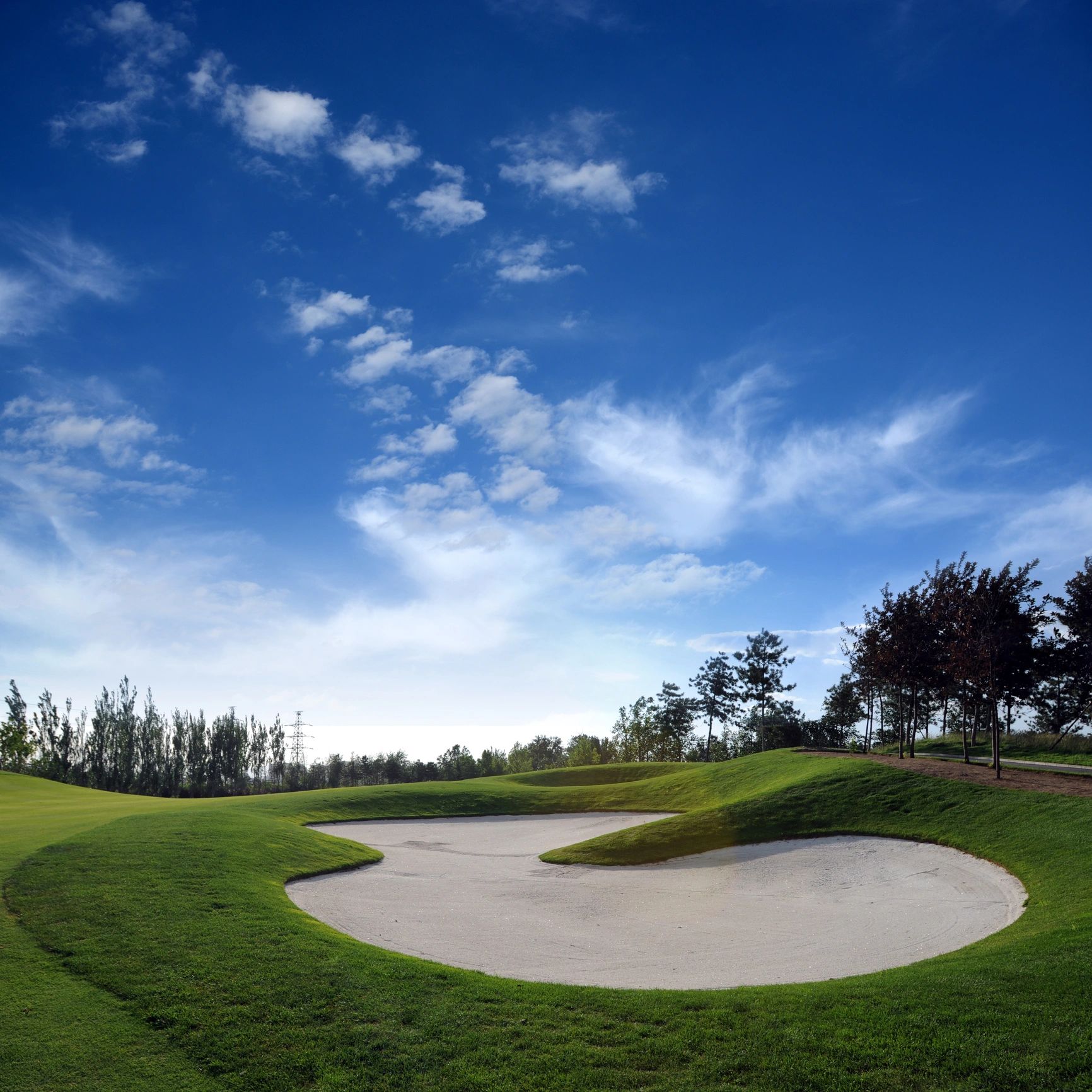 The Back Nine Life