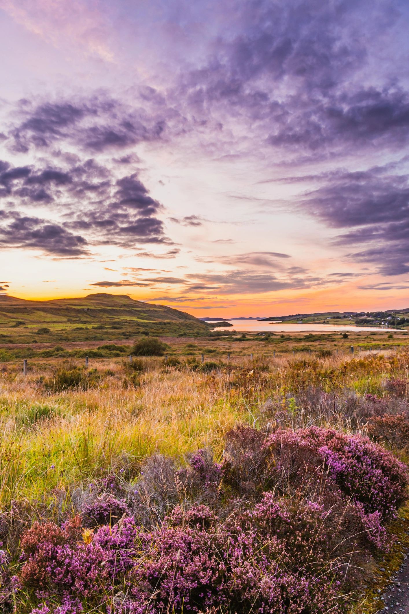 Isle of Skye Cheese