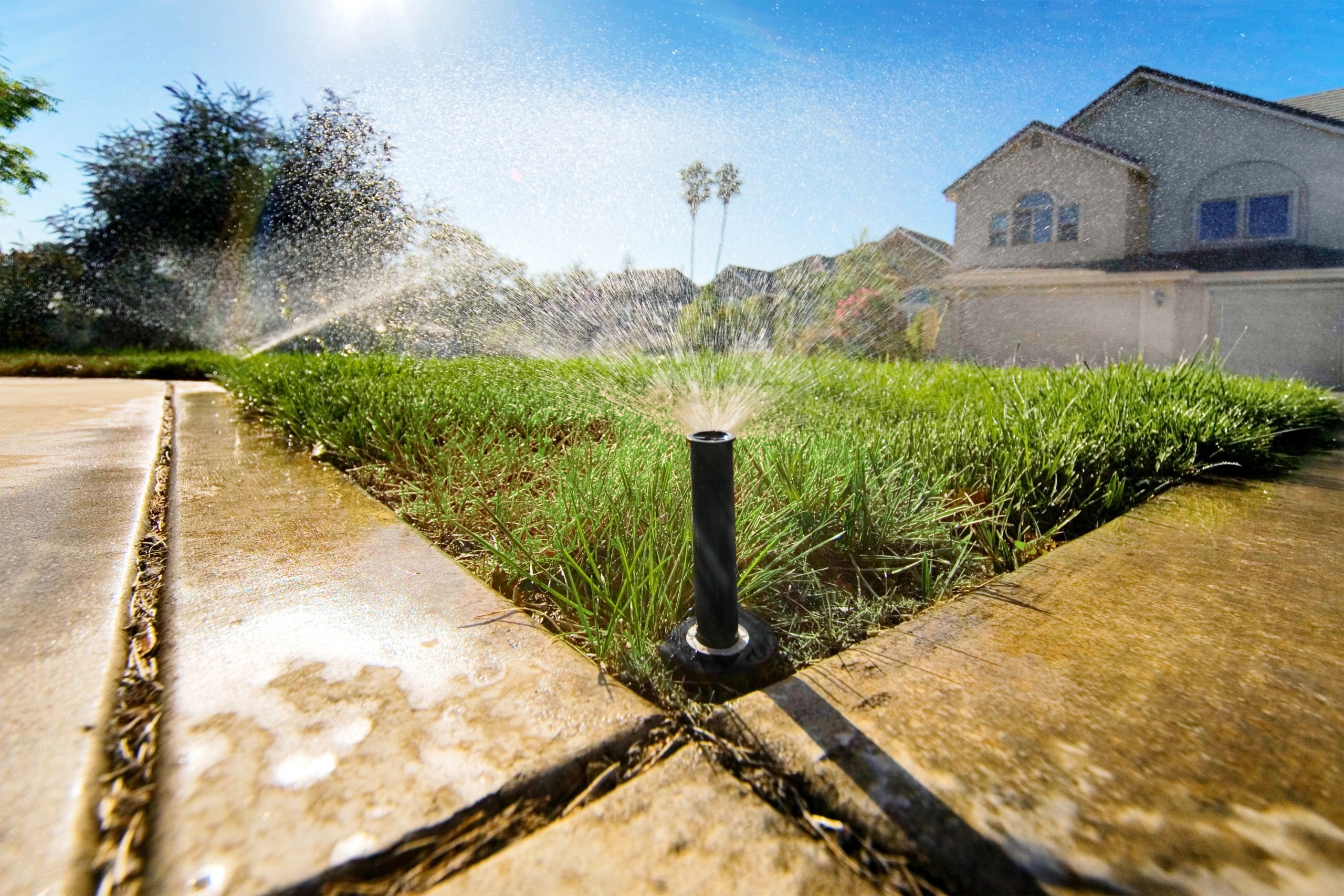 Expert Irrigation System Installations & Solutions