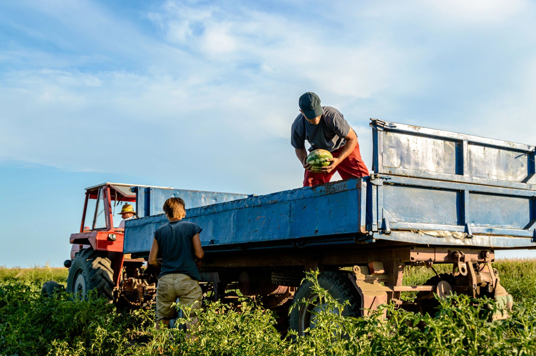 T. Smith Farms, Inc.