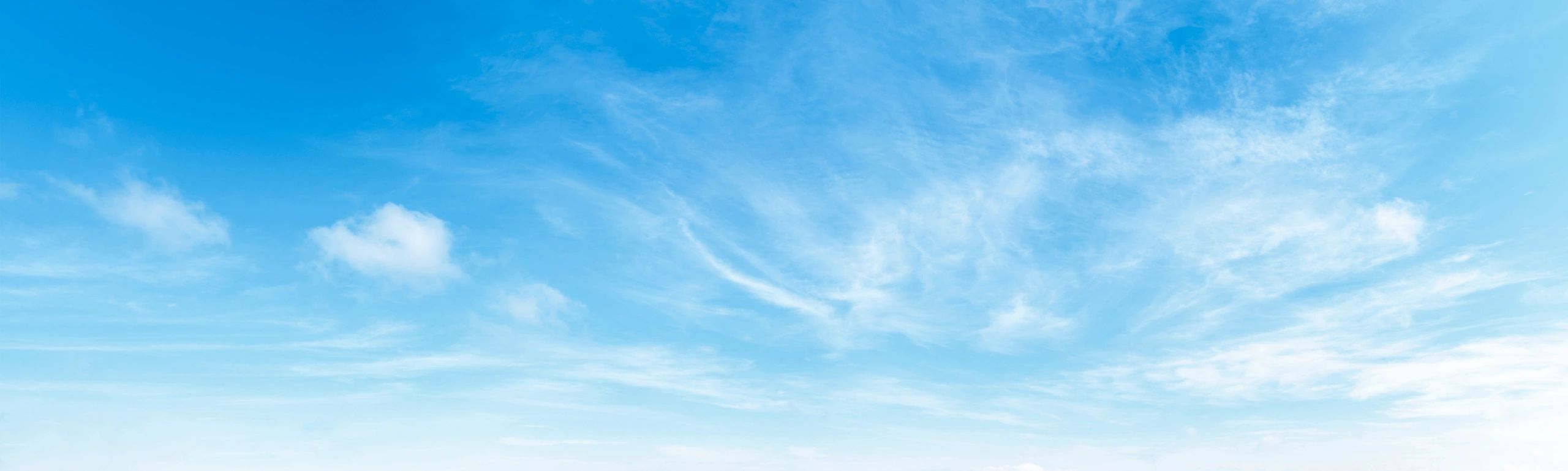 Sardone consulting LLC