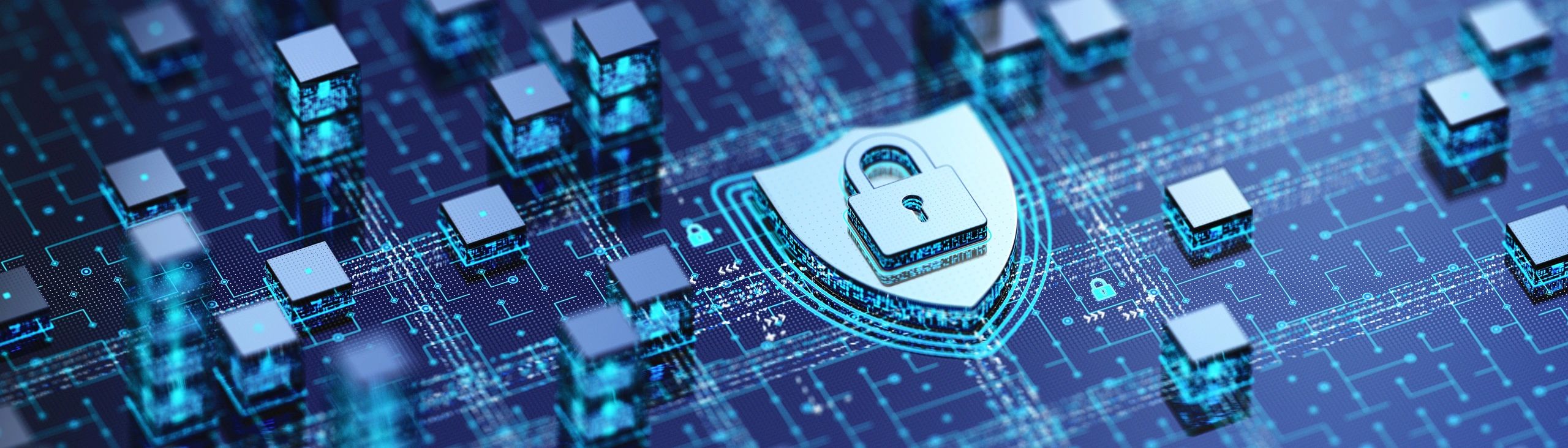 Security Entrance Solutions