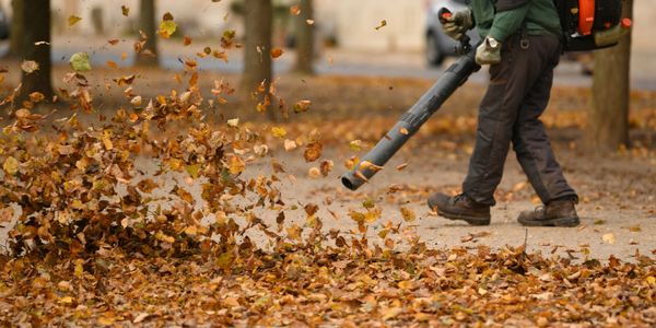 Leaf and Debris Cleanup