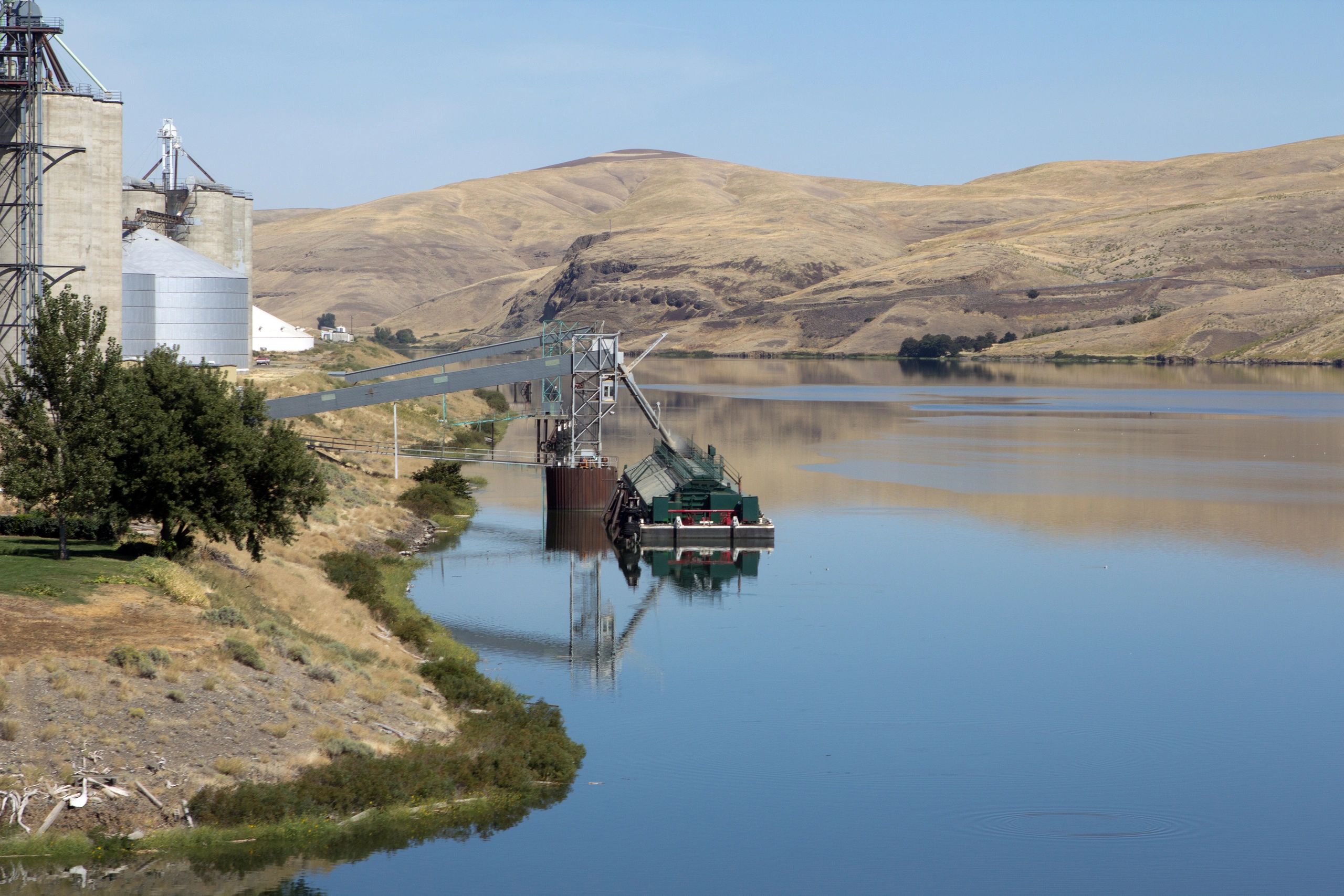 White Shield: Environmental Cleanup & Restoration Services