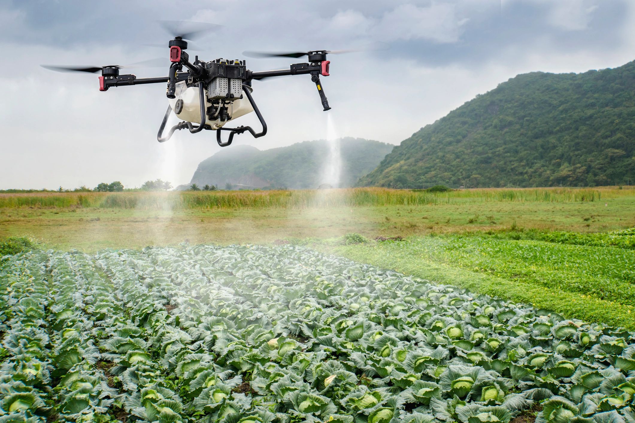 Agridrone Solution Limited