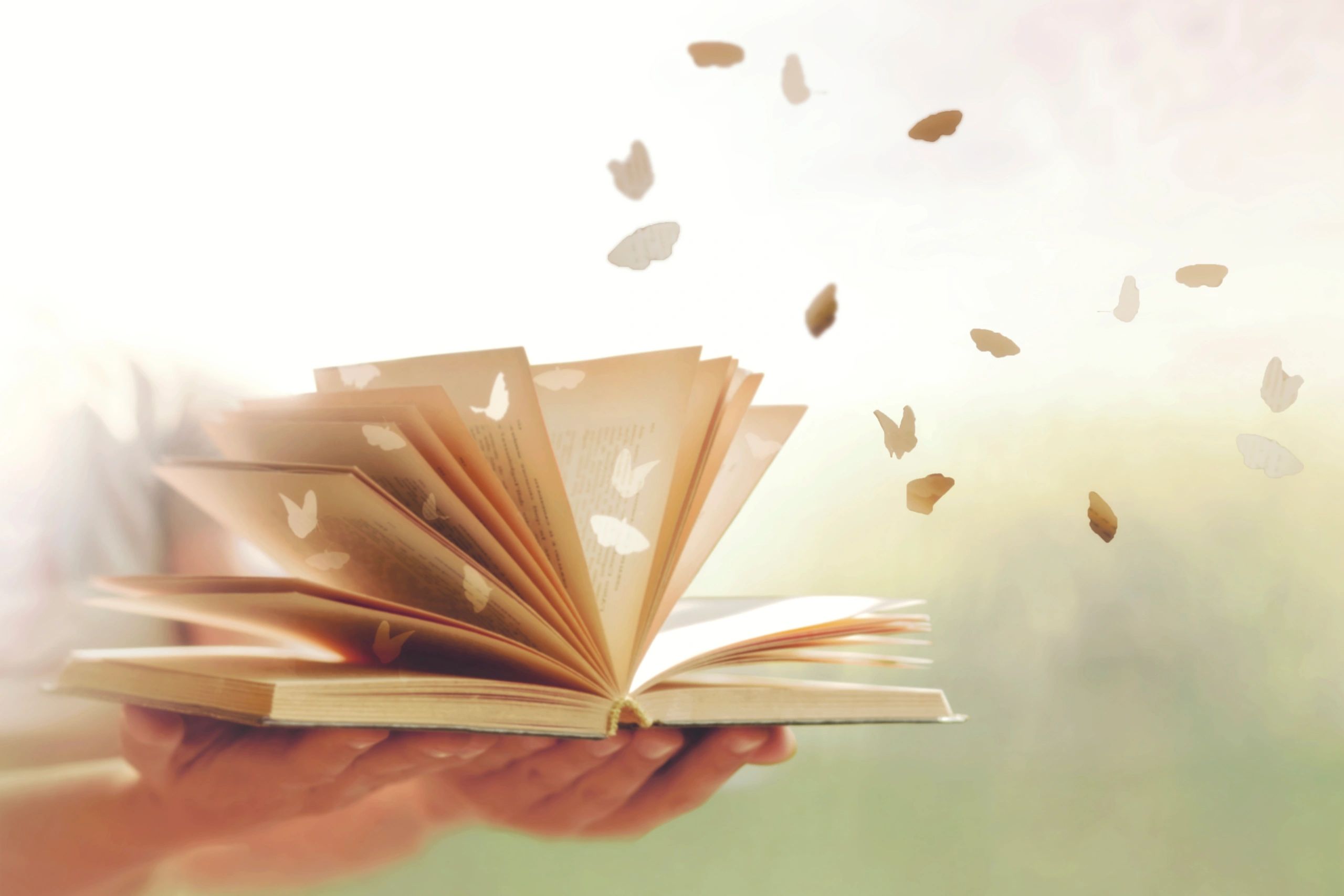 Lee Gross: Stories of life that include second chances, romance, and ...
