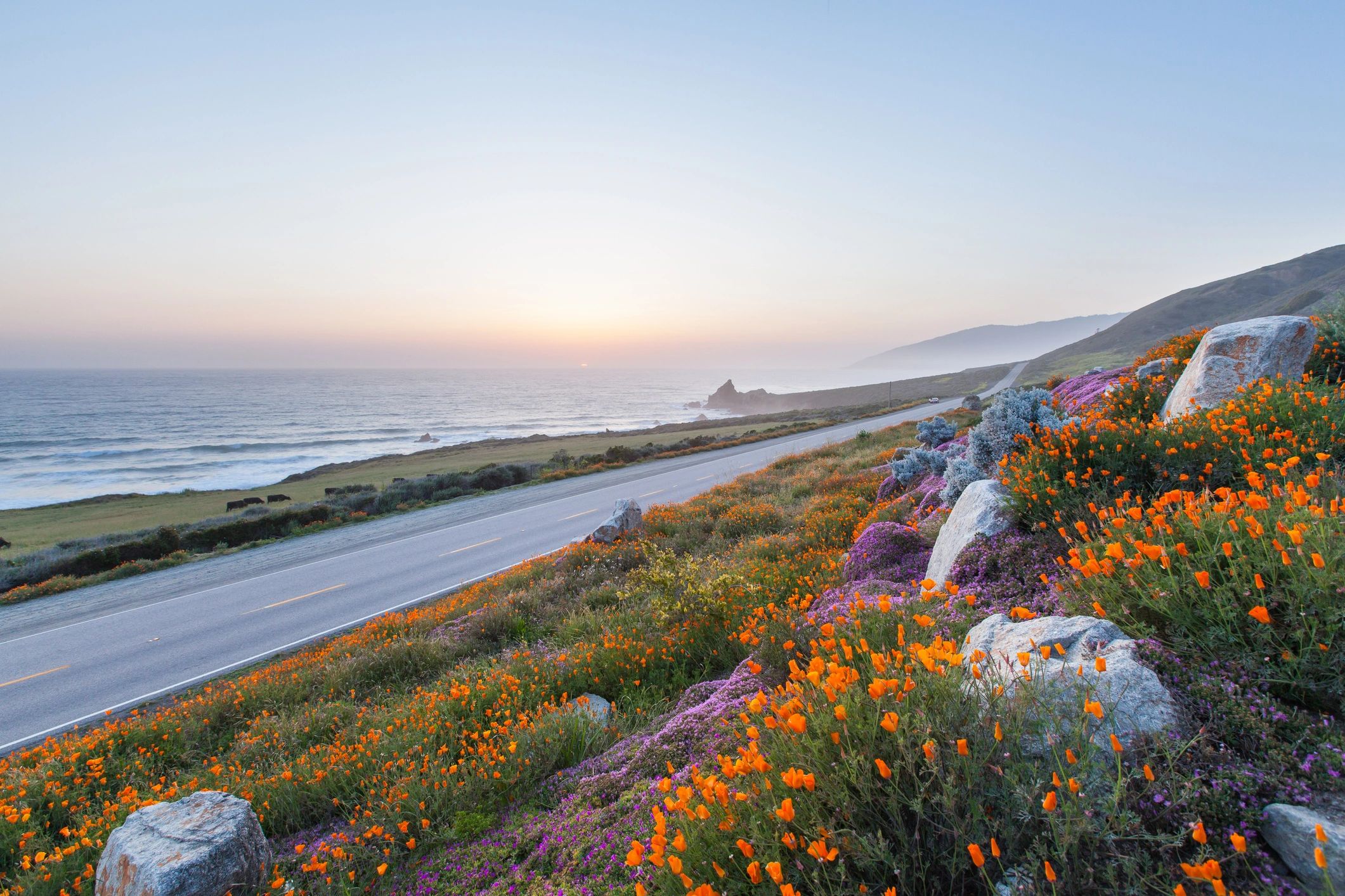 California Online Traffic School for Los Angeles Residents