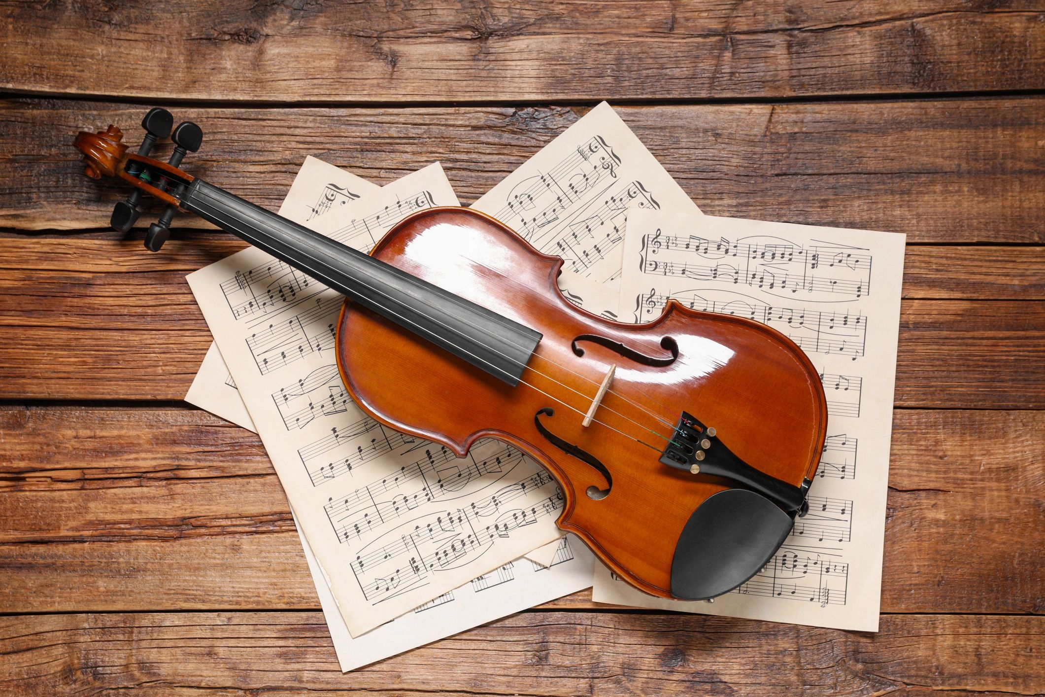 Home | Instruction & Performance - Forrest Strings