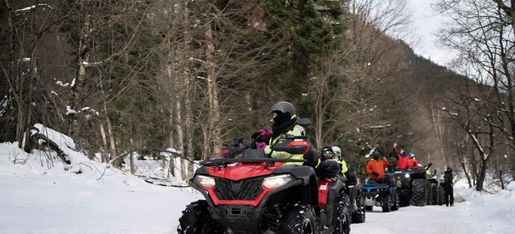 COMPLETE CFMOTO CVTech Clutch kit SIMPLIFIED Let us build your kit for you