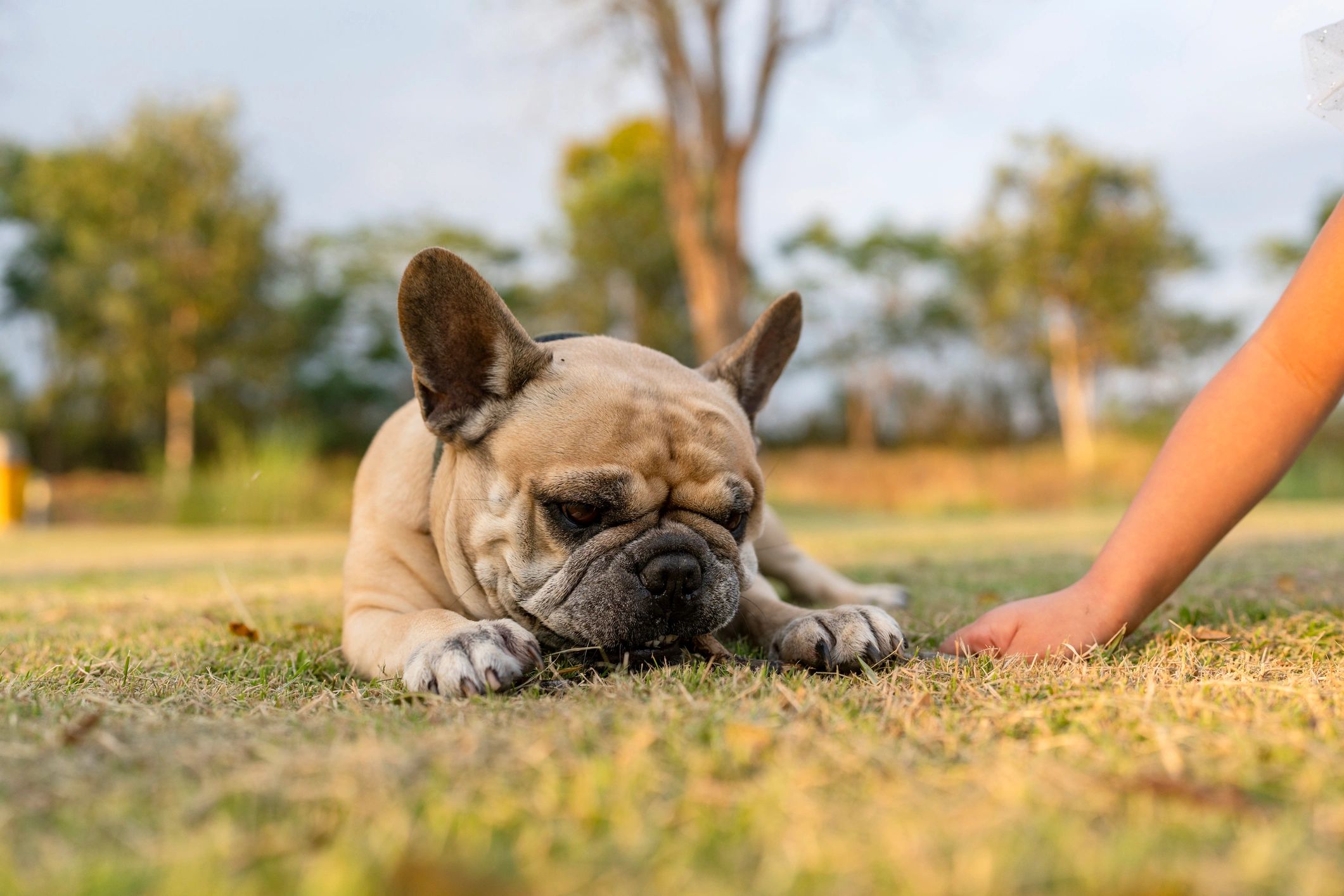 Fancy Text Generator