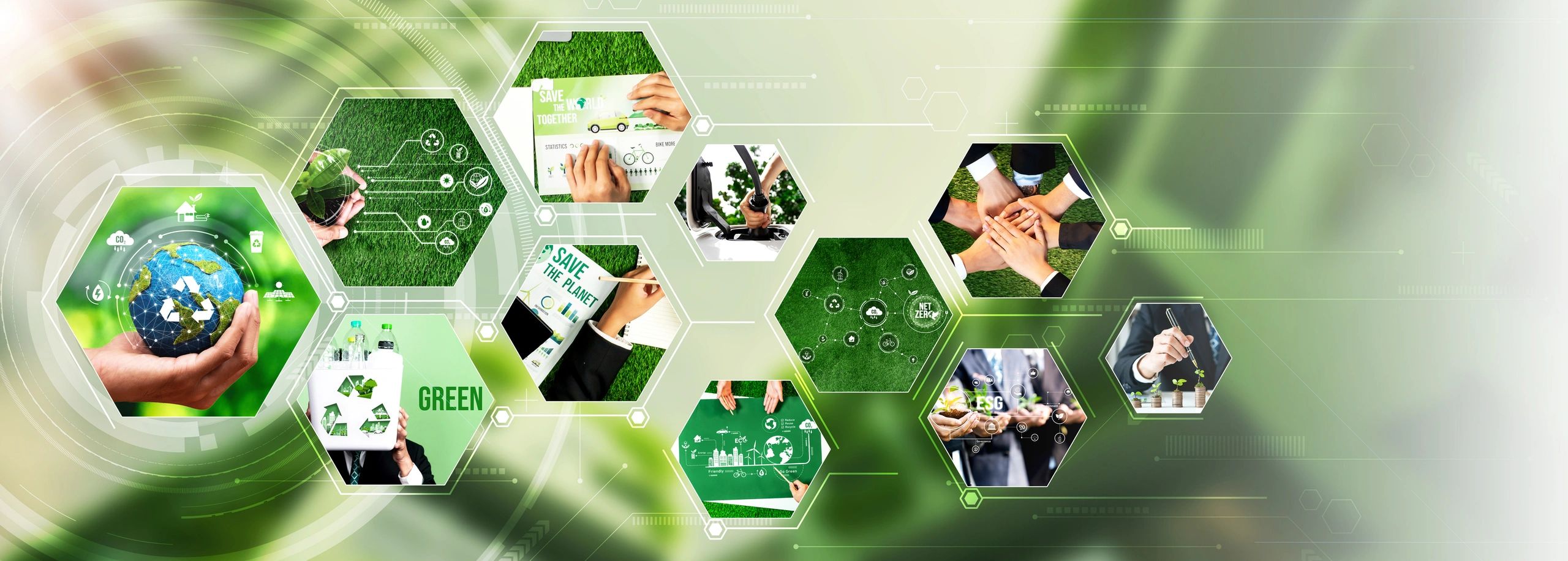 Green Compliance