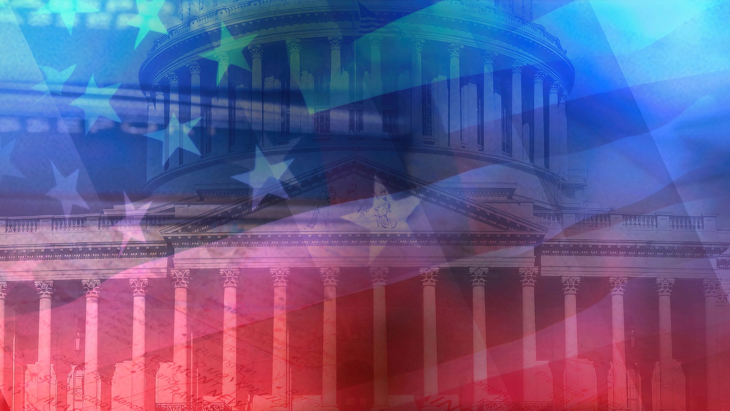 Trusted Immigration Consultant | White Falcon Immigration Solutions, LLC