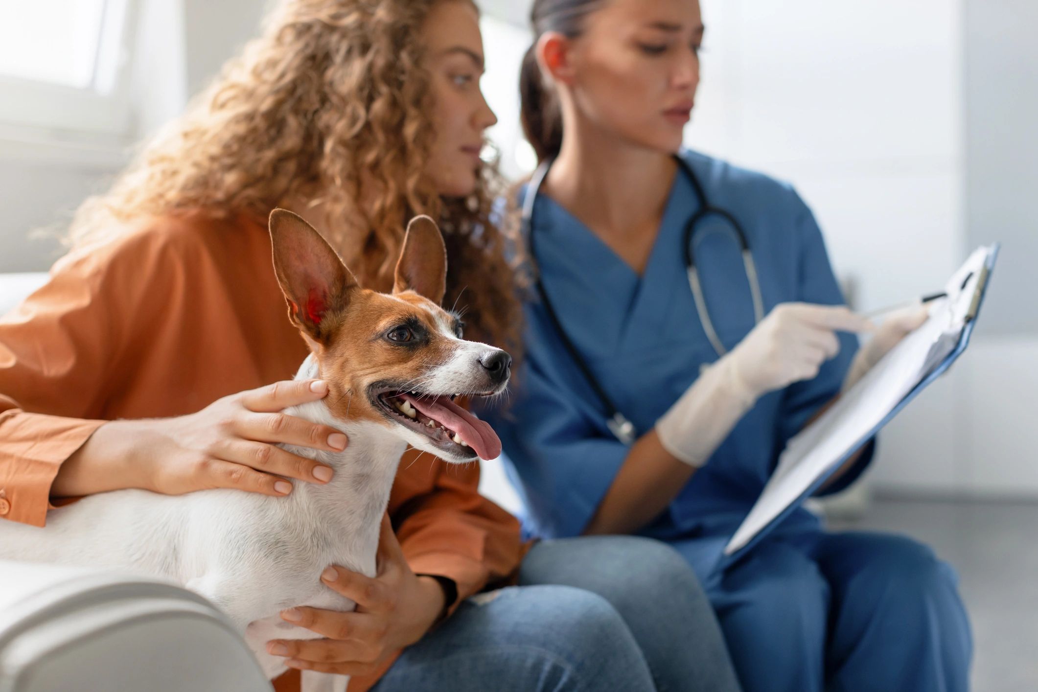 Veterinary Care at Animal Wellness World